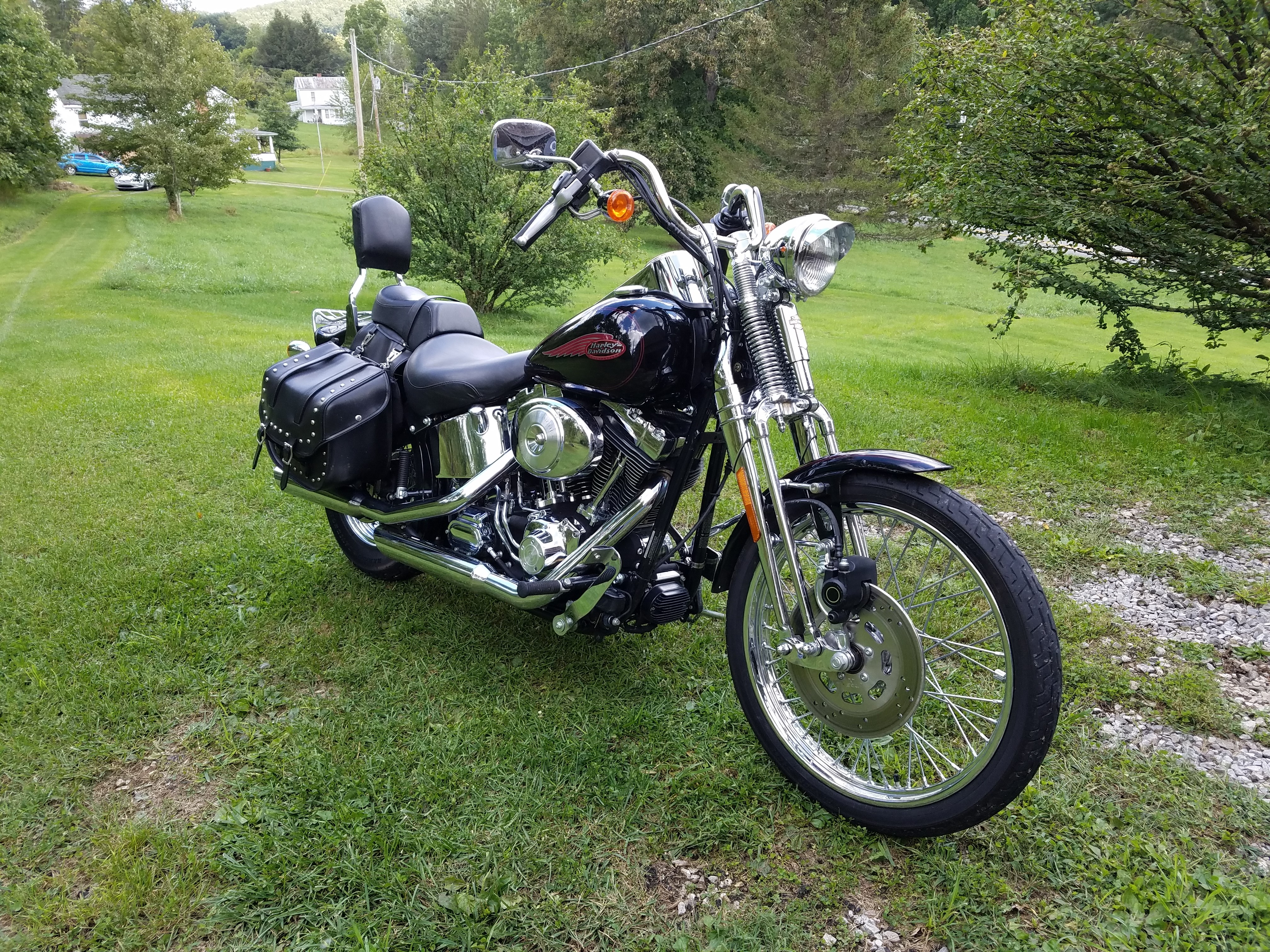 2002 Harley-Davidson® FXSTS Springer® Softail® for Sale in Belington ...