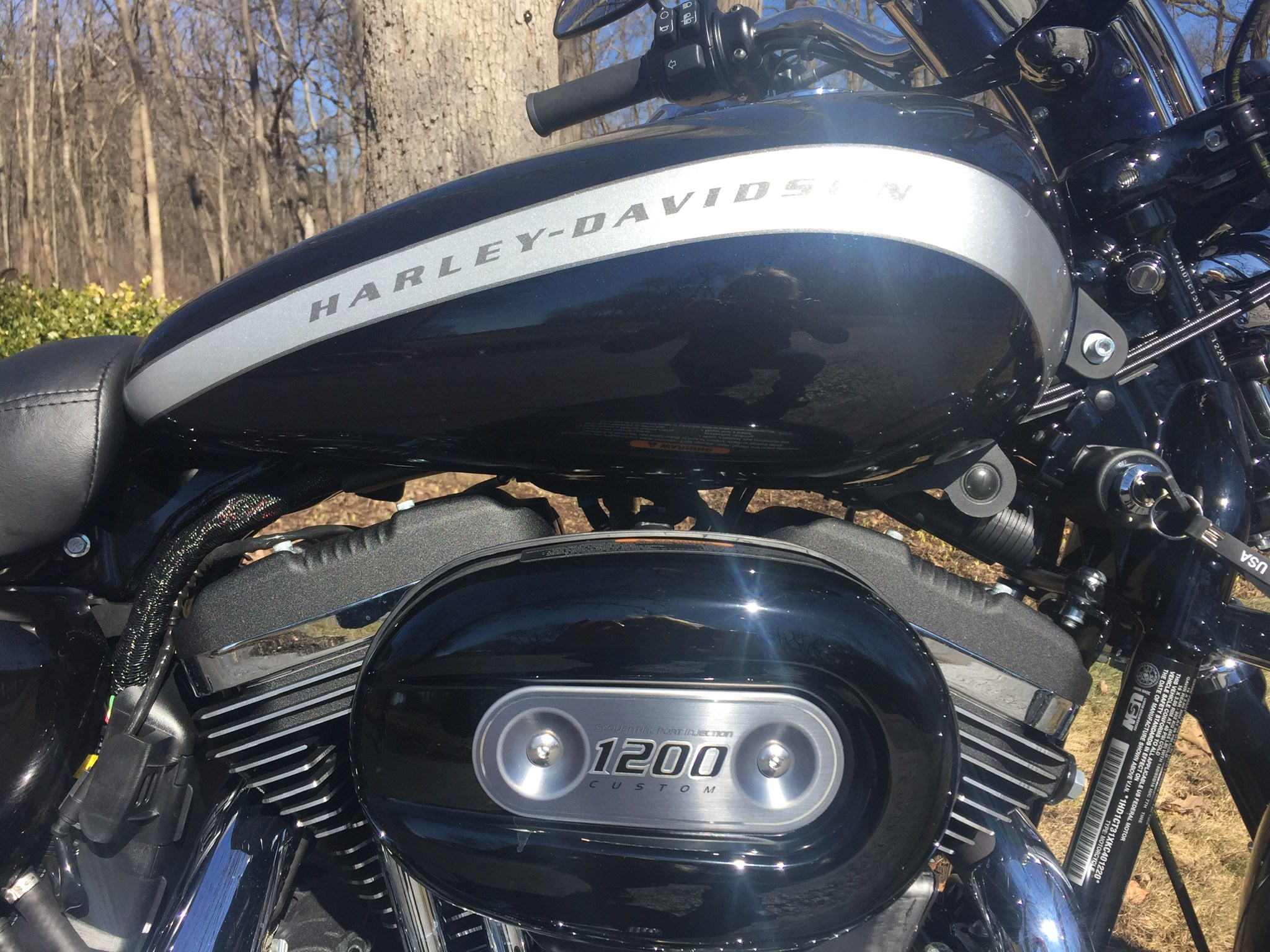 2019 Harley-Davidson® XL1200C Sportster® 1200 Custom for Sale in ...