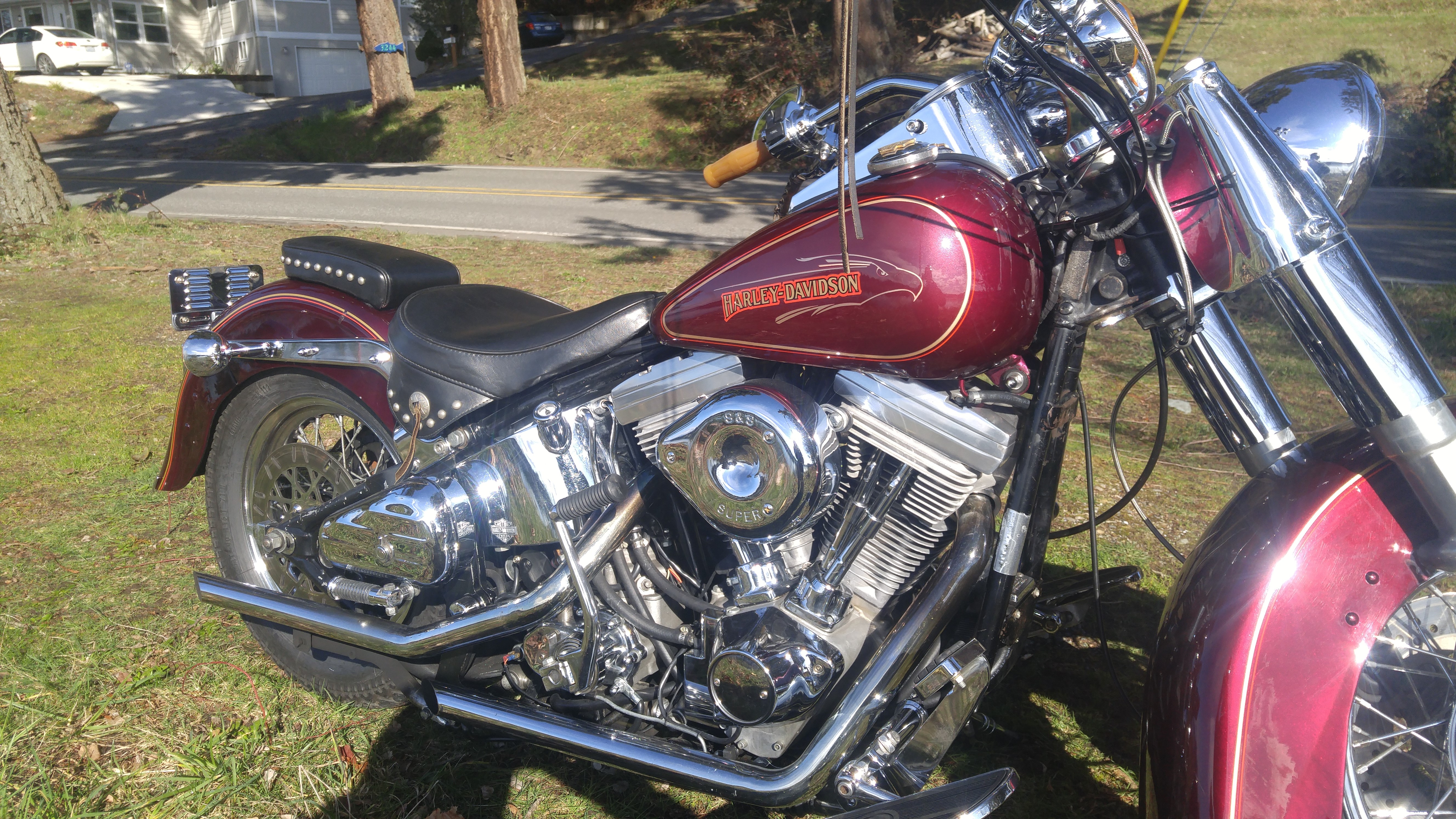 1985 Harley-Davidson® FXST Softail® for Sale in Bremerton, WA (Item 430167)