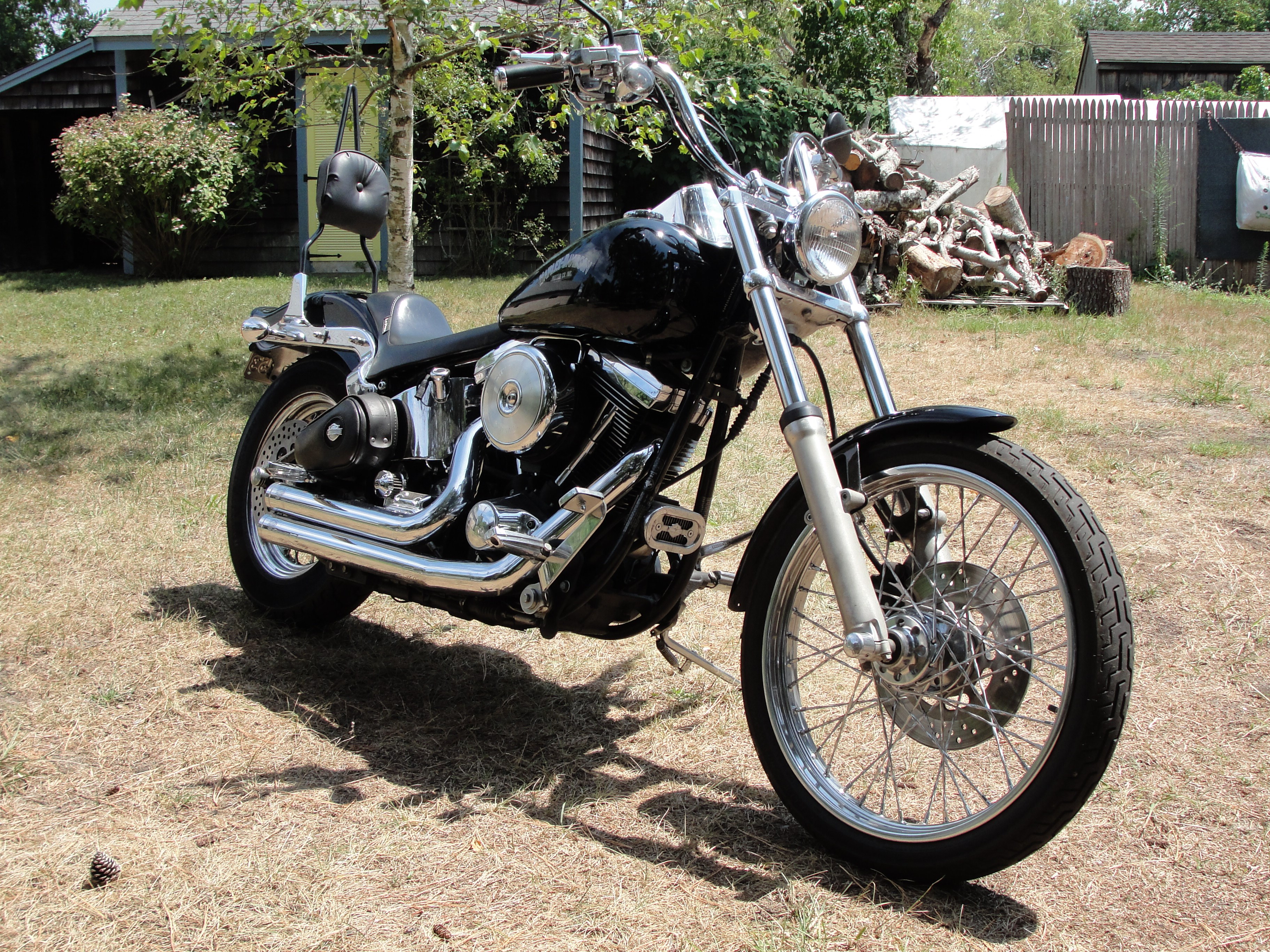 1999 Harley-Davidson® FXSTC Softail® Custom for Sale in DENNIS PORT, MA ...