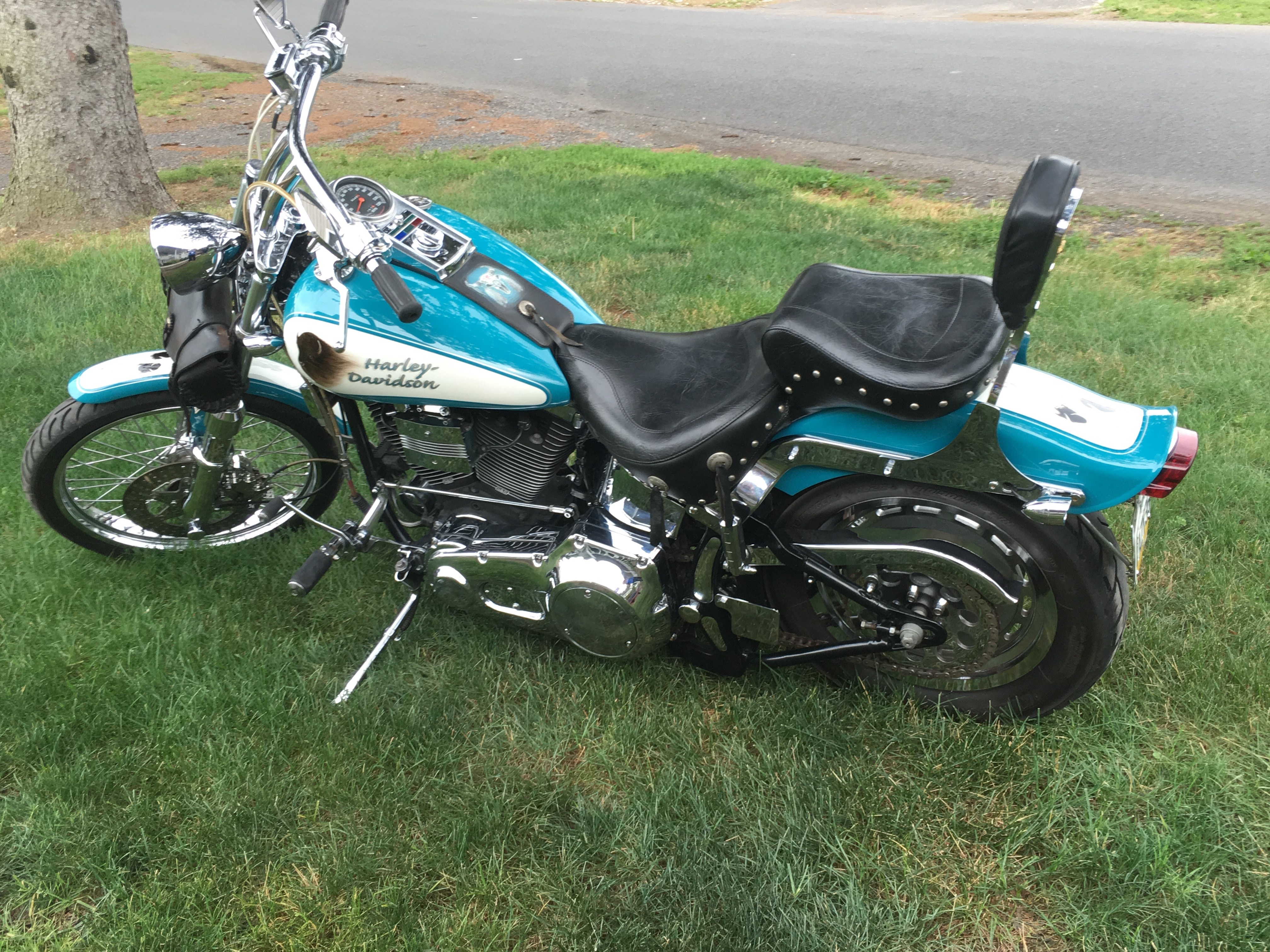 1990 Harley-Davidson® FXSTC Softail® Custom for Sale in Feasterville ...