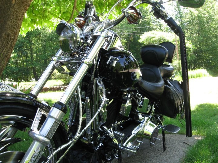 1987 Harley-Davidson® FXSTC Softail® Custom for Sale in Chester, NH ...