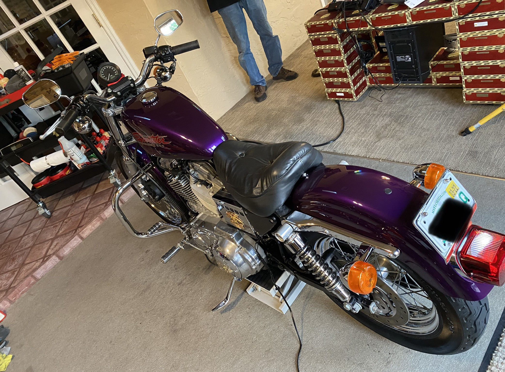 2001 Harley-Davidson® XL883C Sportster® 883 Custom for Sale in Winter ...