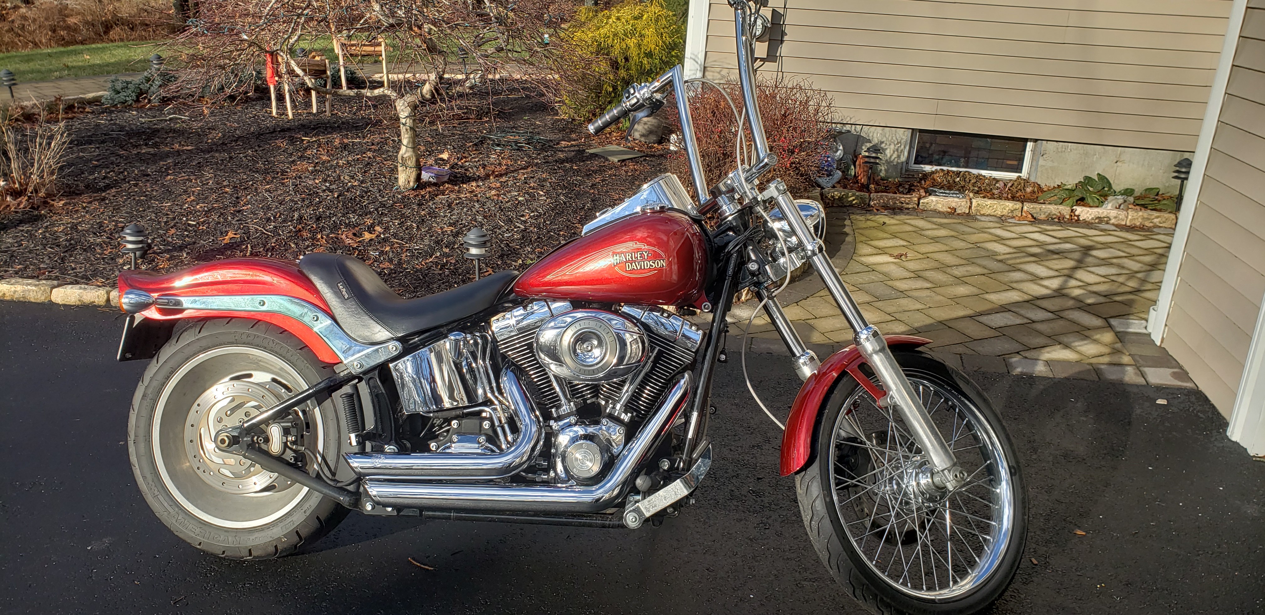 2008 Harley-Davidson® FXSTC Softail® Custom for Sale in St Augustine ...