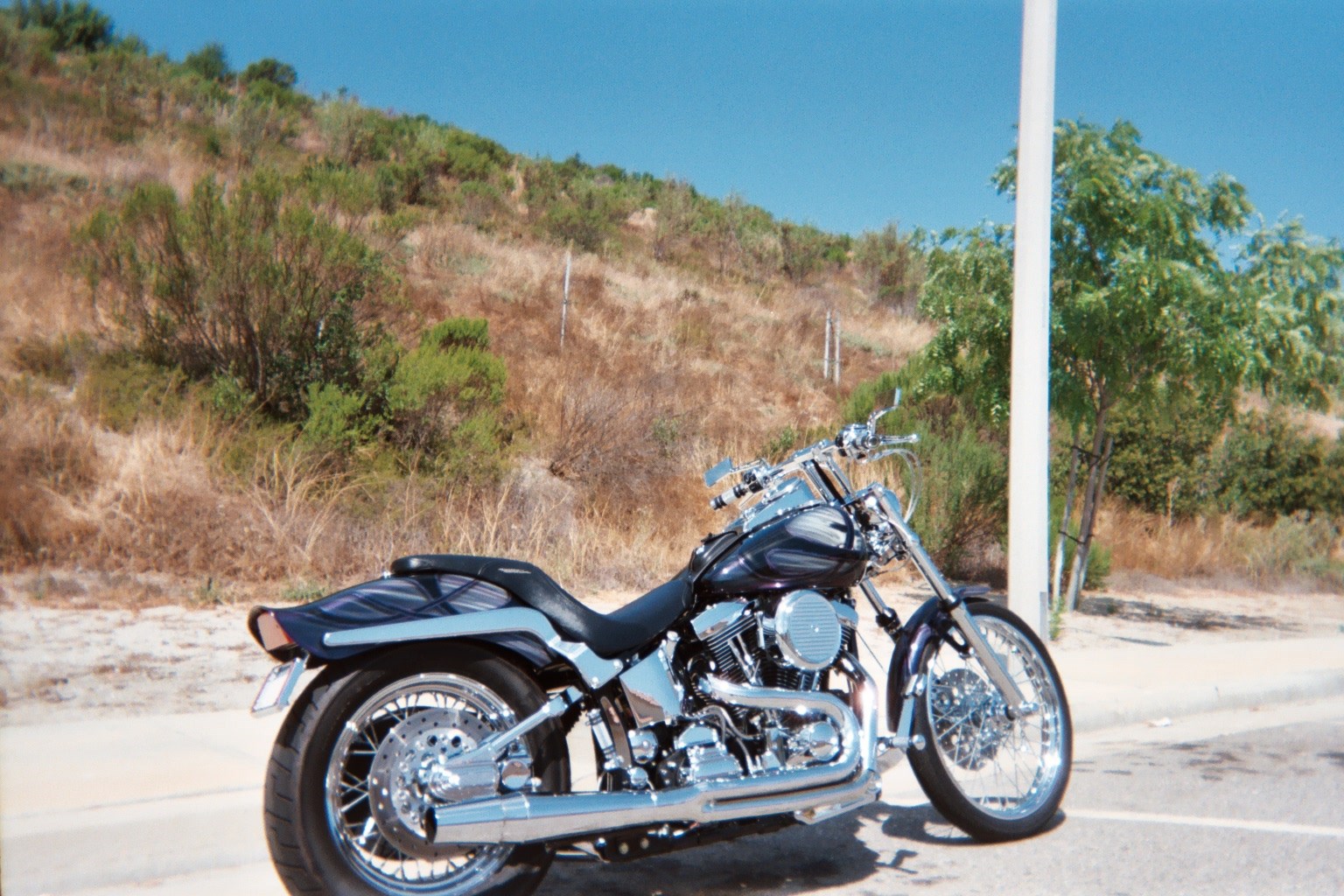 1999 Harley-Davidson® FXSTC Softail® Custom for Sale in Sherman Oaks ...