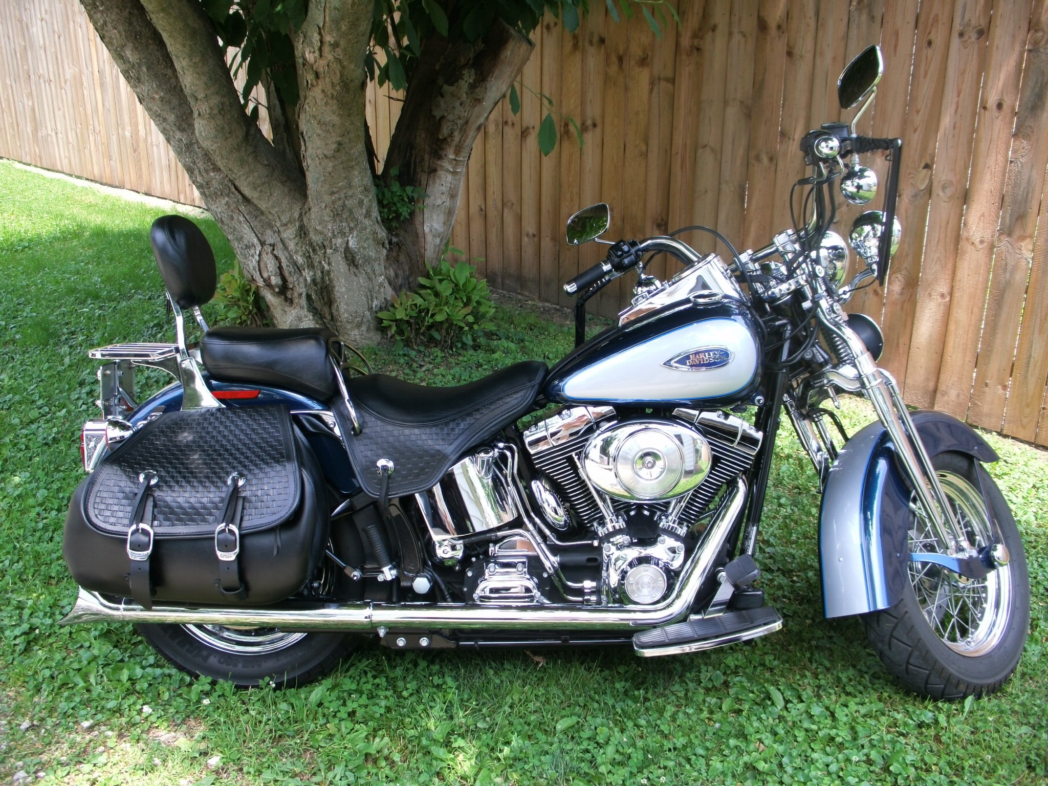 2001 Harley-Davidson® FLSTS/I Heritage Springer® for Sale in ...