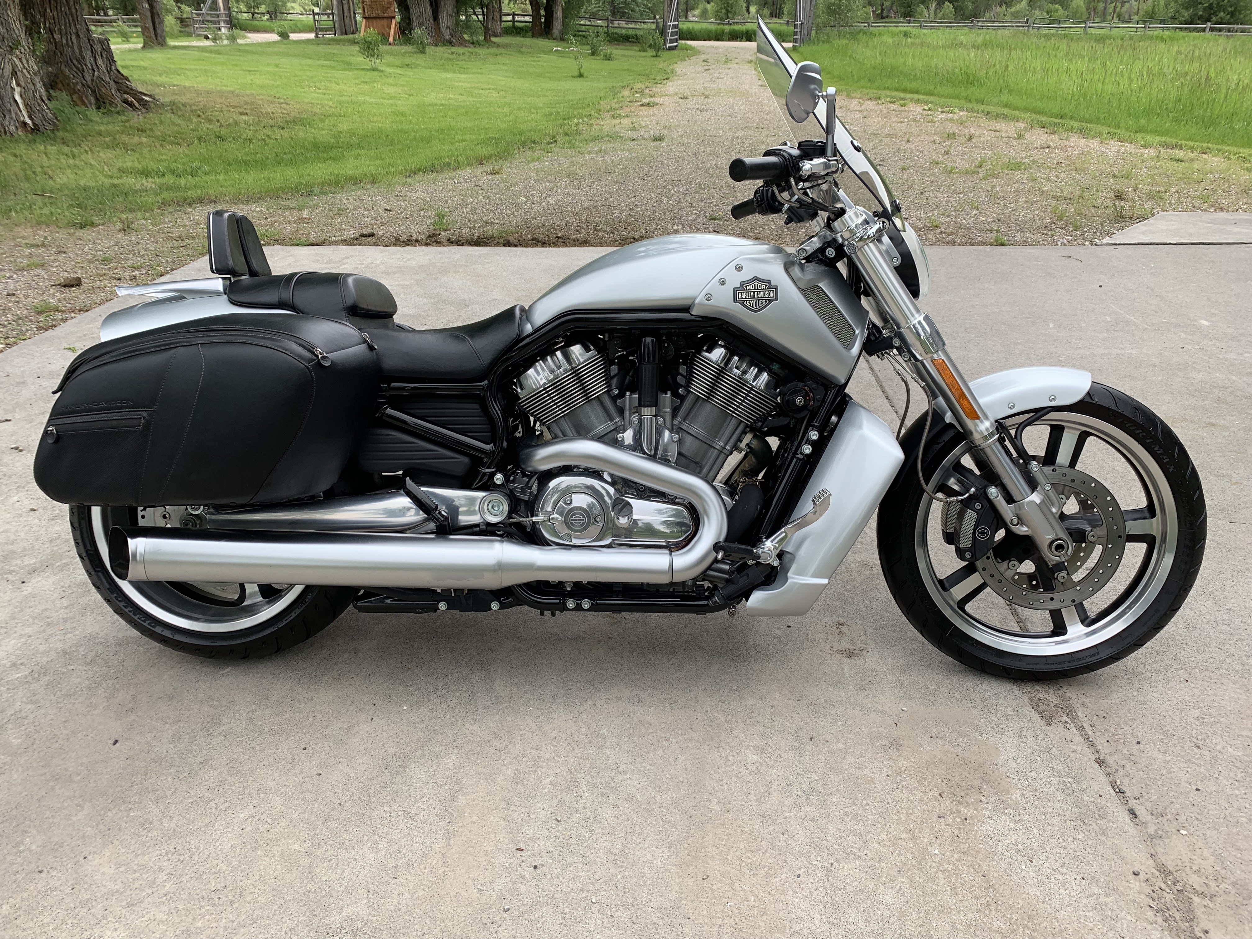 2009 Harley-Davidson® VRSCF V-Rod® Muscle® for Sale in Swan Valley, ID ...