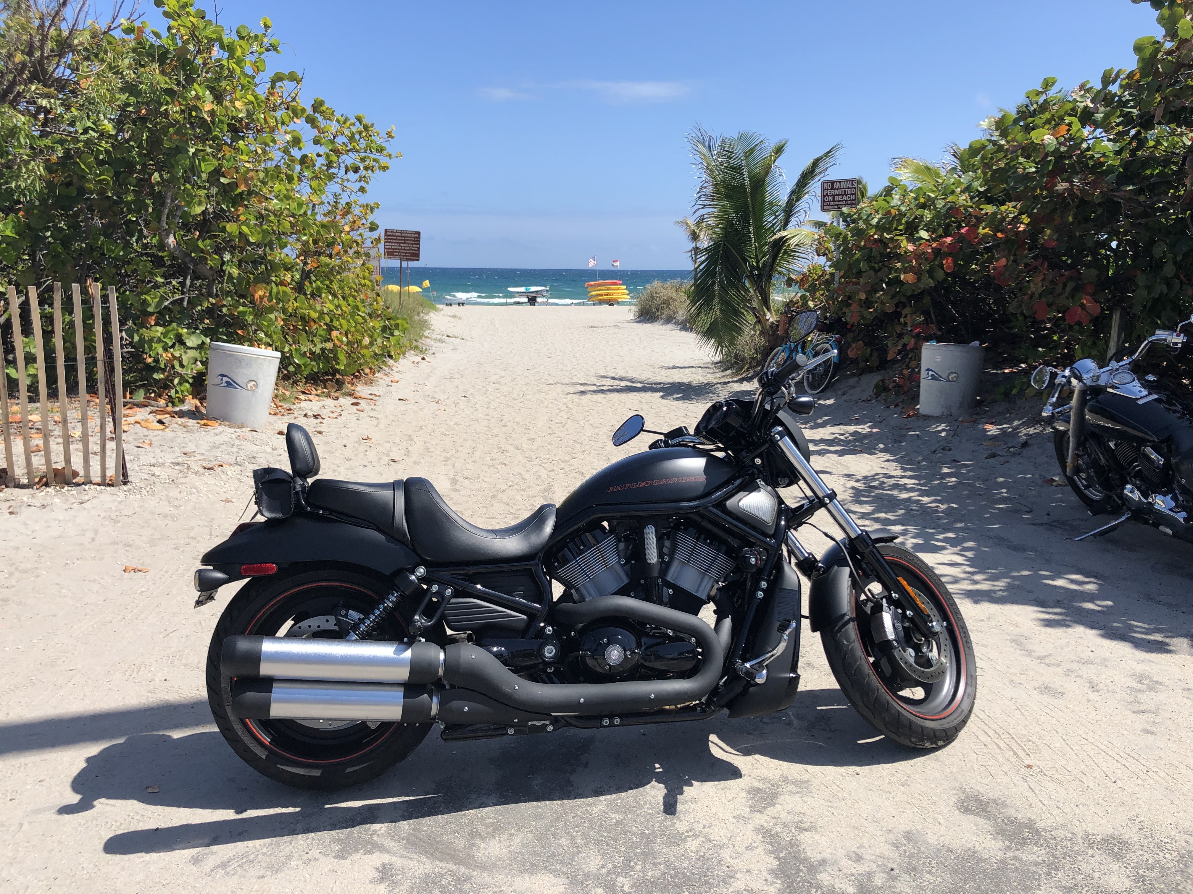 2007 Harley-Davidson® VRSCDX V-Rod® Night Rod® Special for Sale in Lake ...
