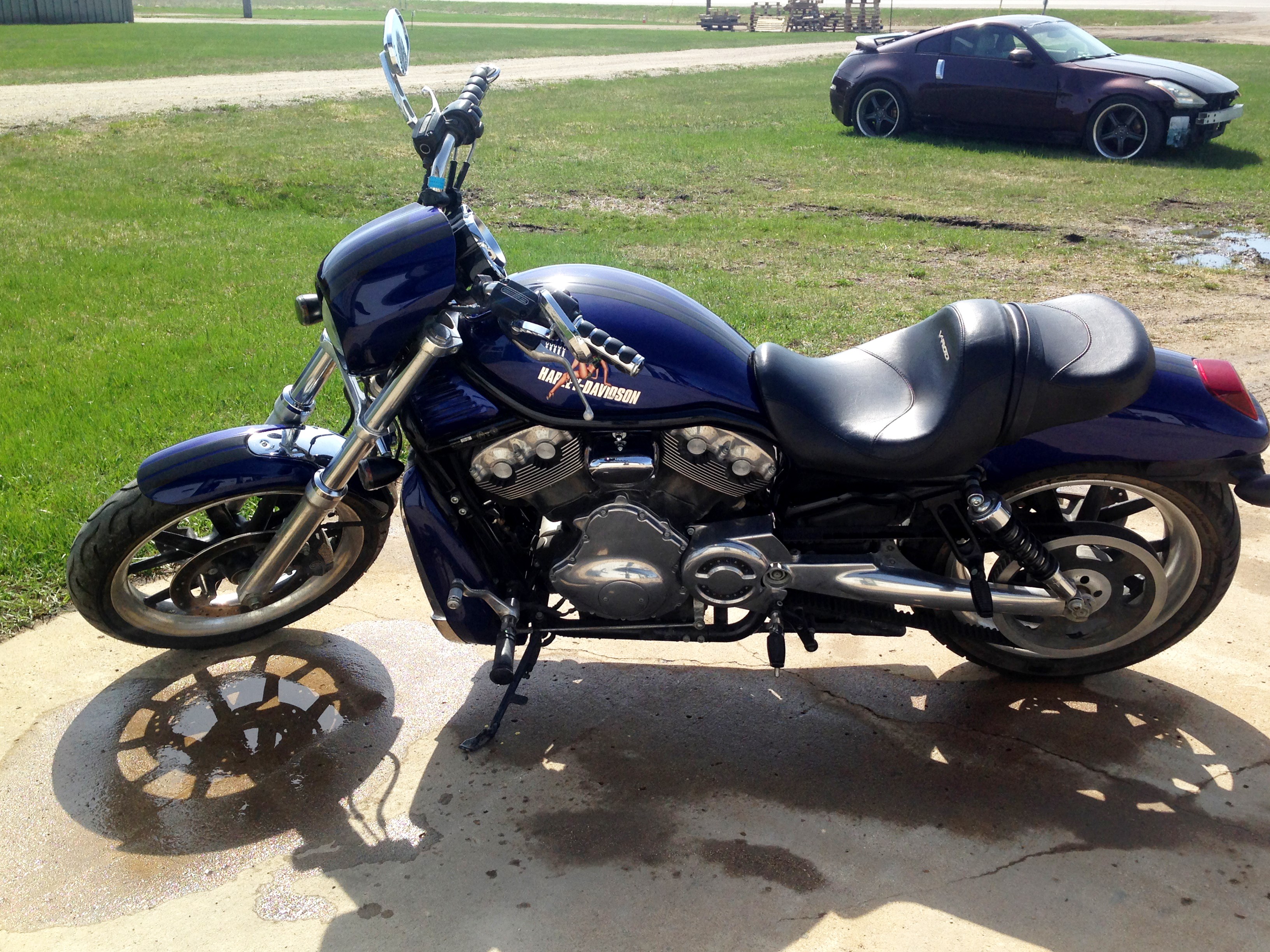 2006 Harley-Davidson® VRSCD V-Rod® Night Rod® for Sale in Osakis, MN ...