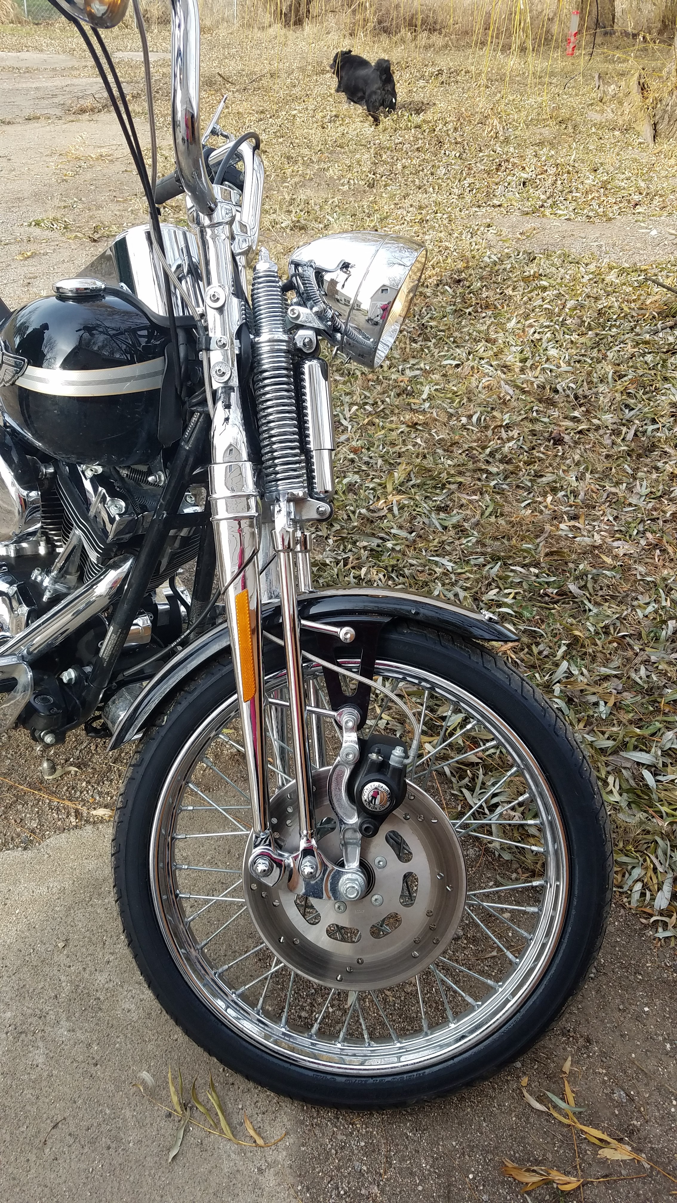 2003 Harley-Davidson® FXSTS-ANV Springer® Softail® Anniversary for Sale ...