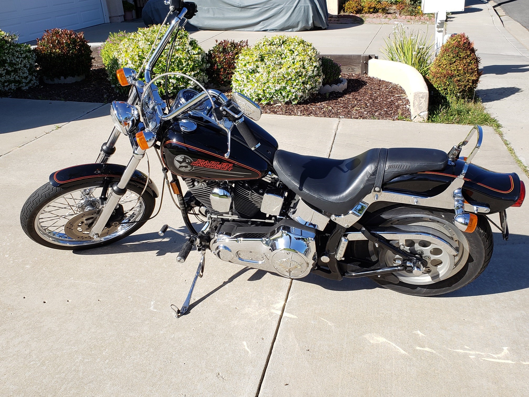 1994 Harley-Davidson® FXSTC Softail® Custom for Sale in SAN DIEGO, CA ...
