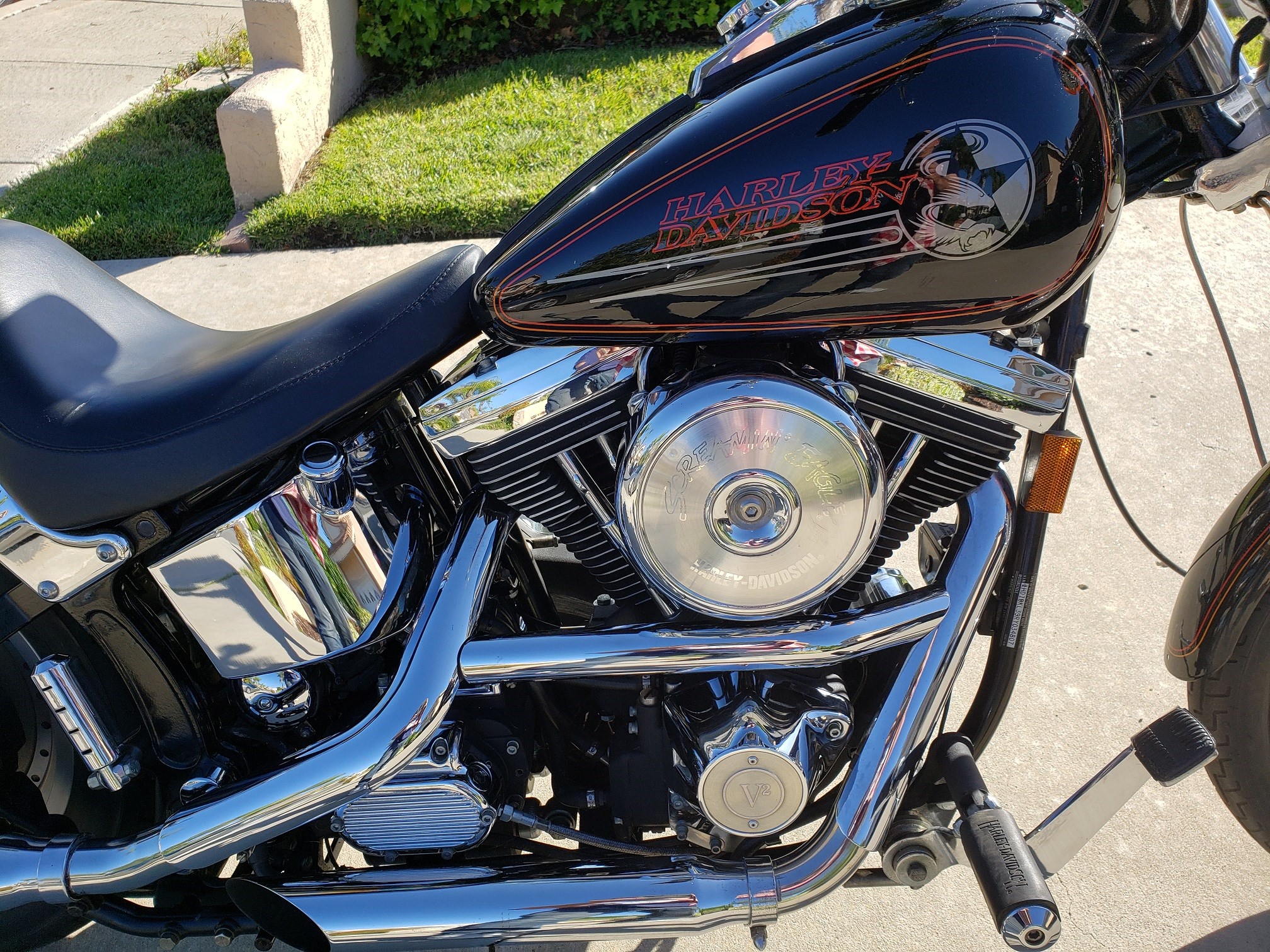 1994 Harley-Davidson® FXSTC Softail® Custom for Sale in SAN DIEGO, CA ...