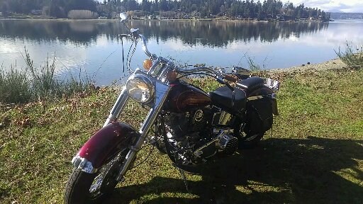 1985 Harley-Davidson® FXST Softail® for Sale in Bremerton, WA (Item 430167)
