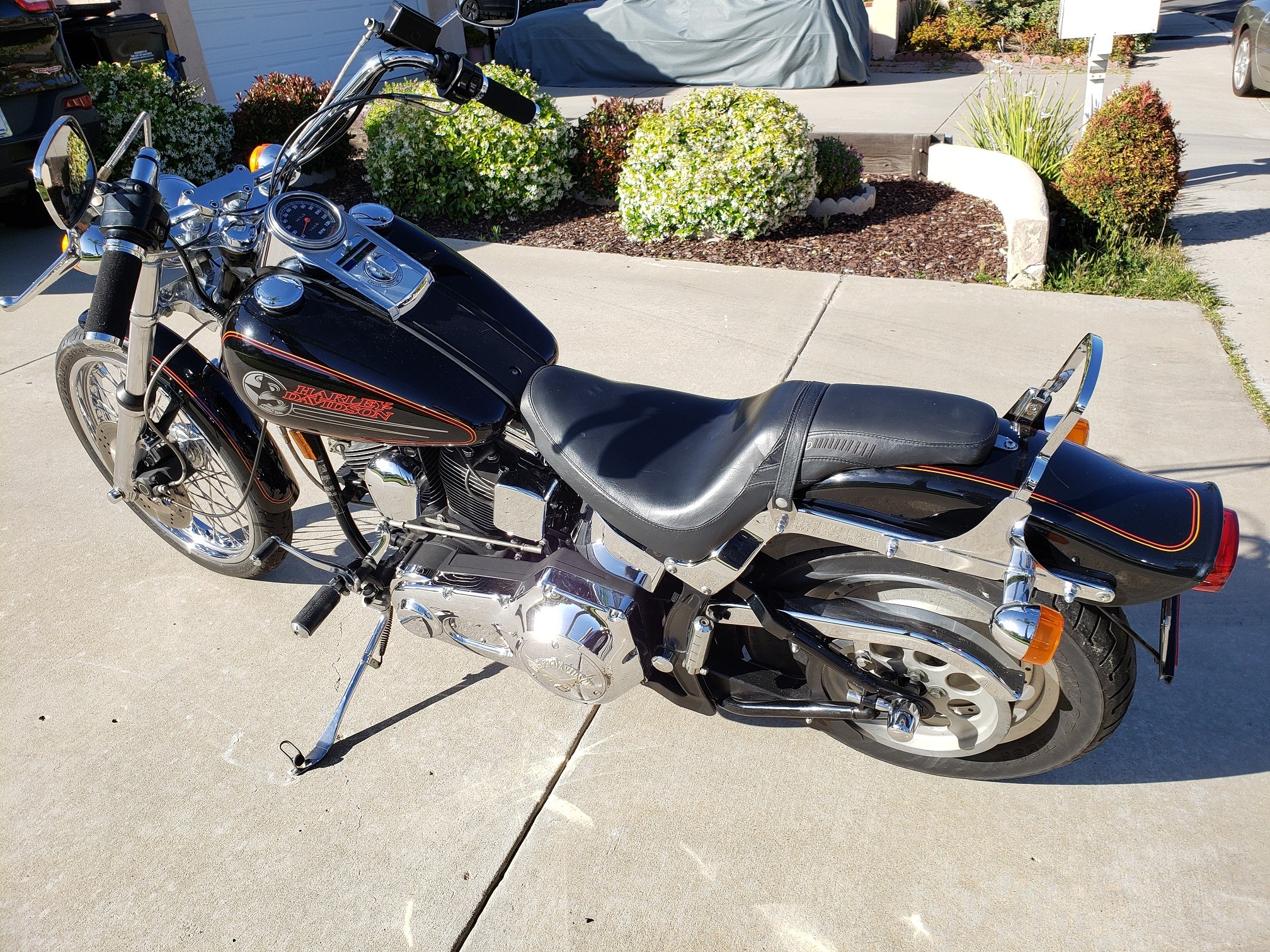 1994 Harley-Davidson® FXSTC Softail® Custom for Sale in SAN DIEGO, CA ...