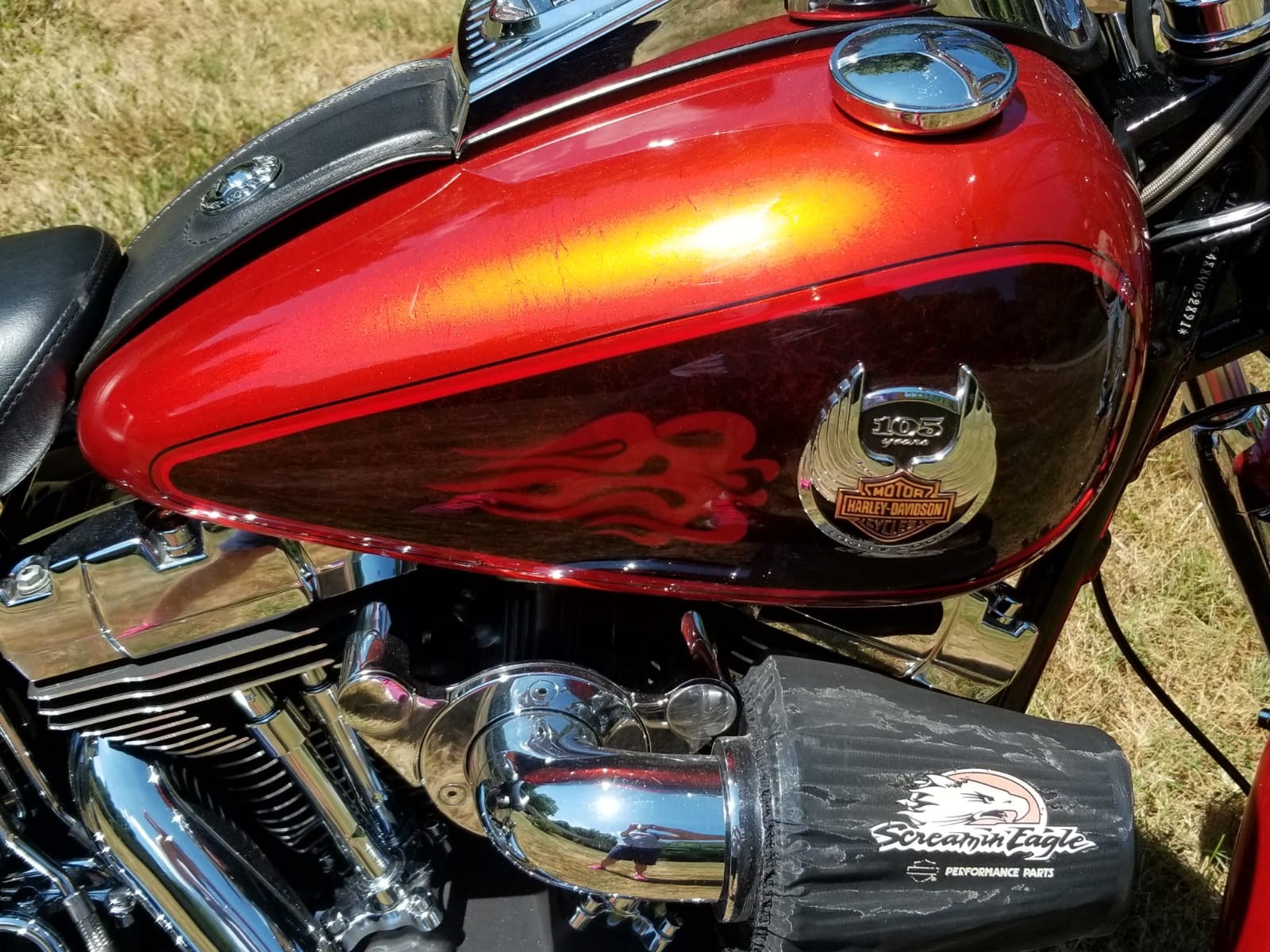 2008 Harley-Davidson® FXSTC-ANV Softail® Custom Anniversary for Sale in ...