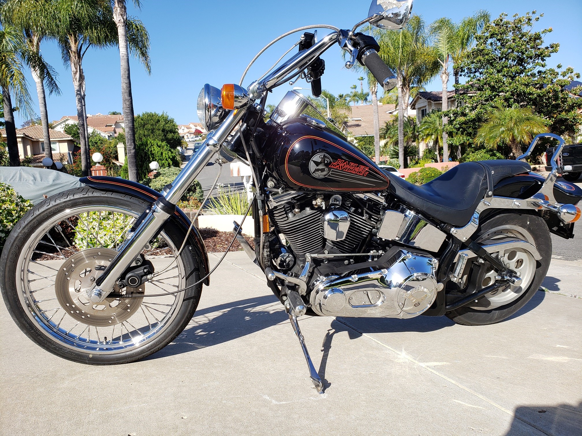 1994 Harley-Davidson® FXSTC Softail® Custom for Sale in SAN DIEGO, CA ...
