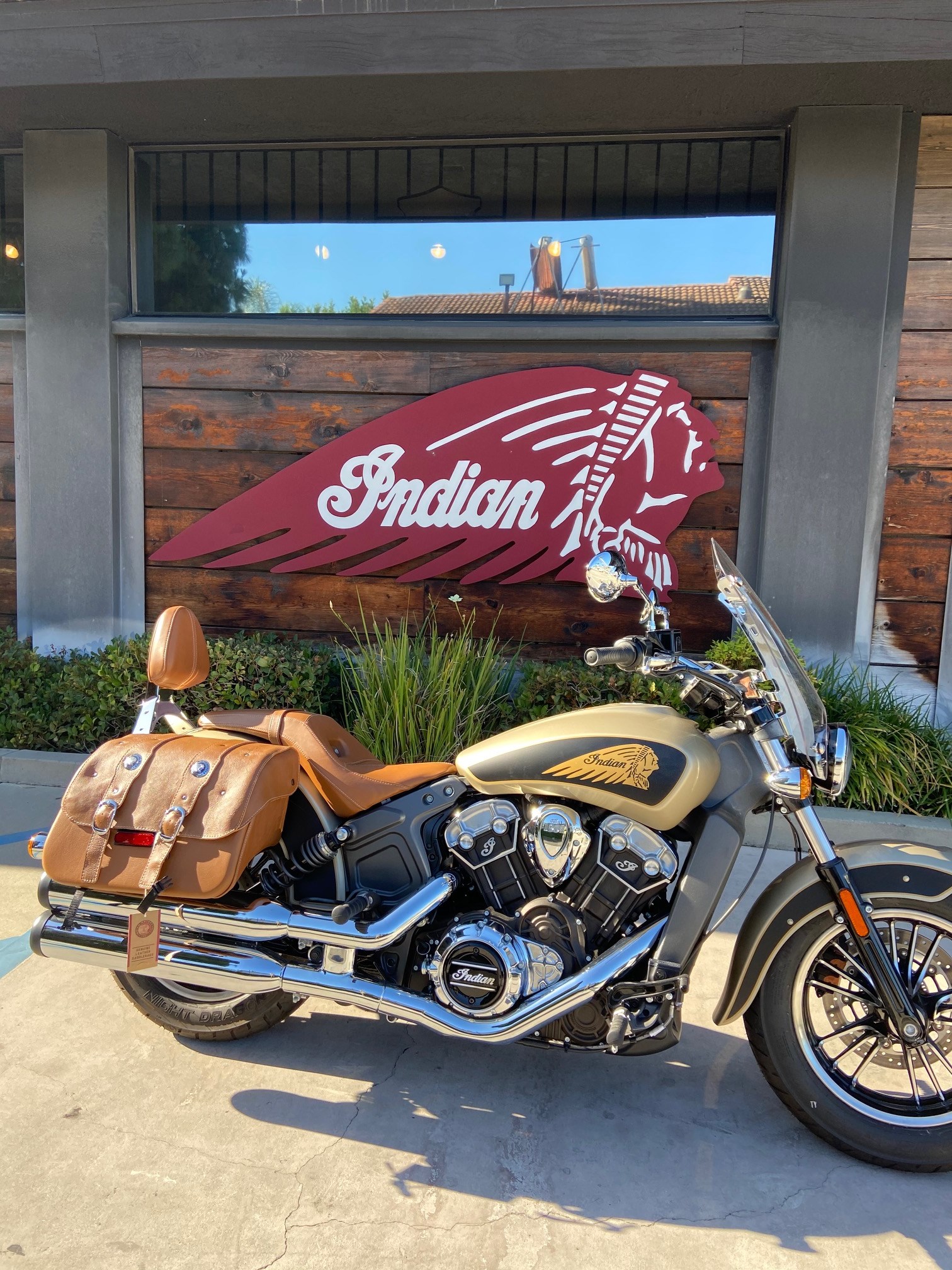 2020 Indian® Motorcycle Scout Icon for Sale in Torrance, CA (Item 1076570)
