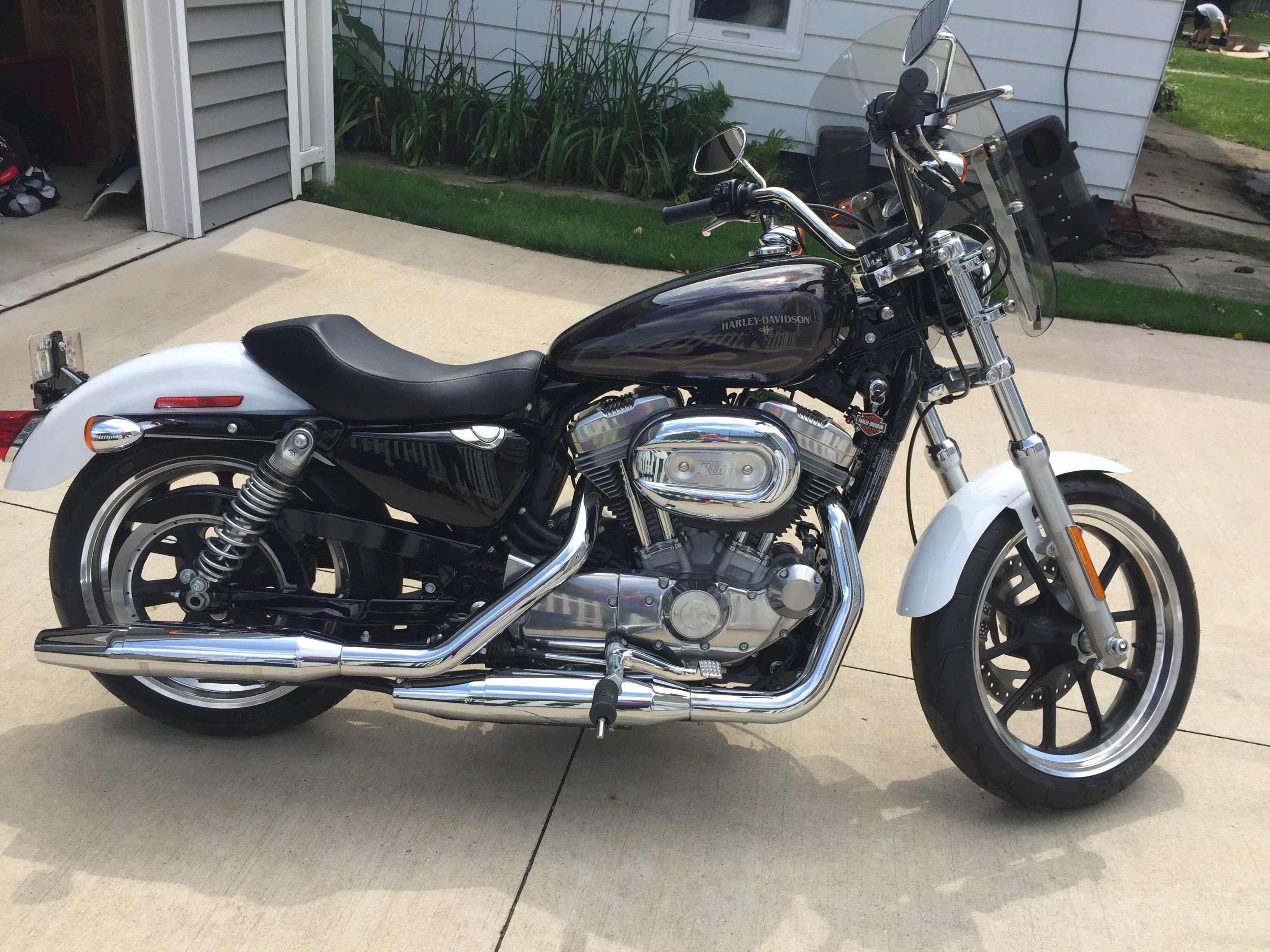 2016 Harley-Davidson® XL883L Sportster® SuperLow® for Sale in Plymouth ...
