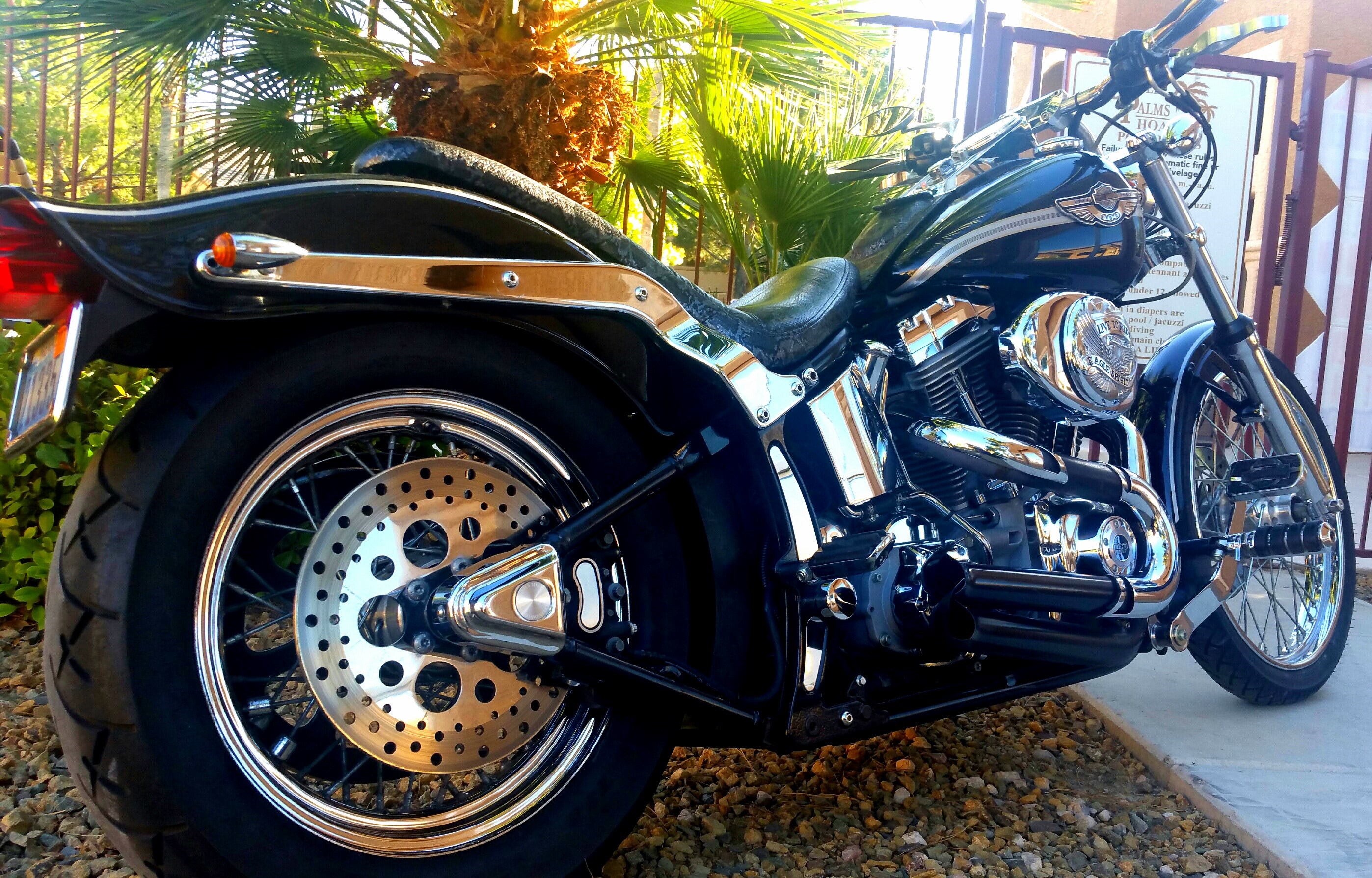 2003 Harley-Davidson® FXST/I-ANV Softail® Standard Anniversary for Sale ...