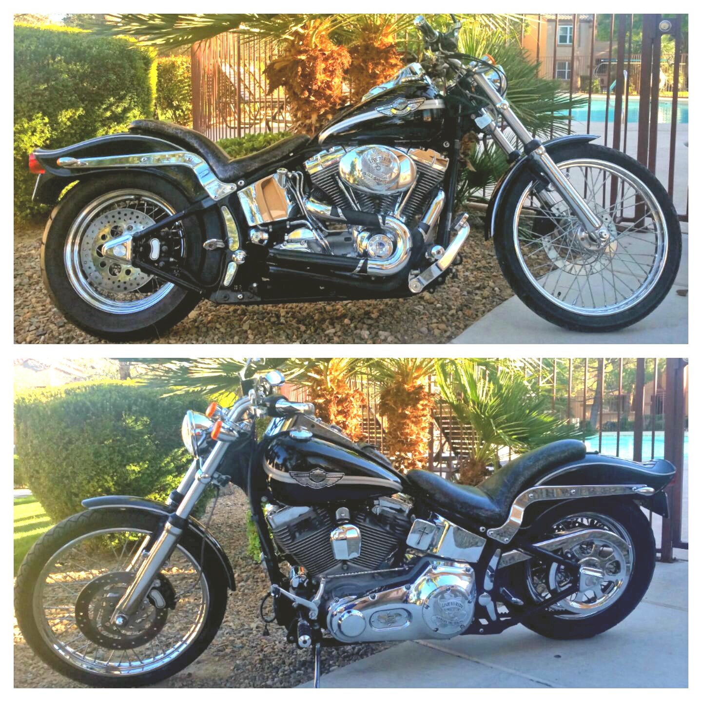 2003 Harley-Davidson® FXST/I-ANV Softail® Standard Anniversary for Sale ...