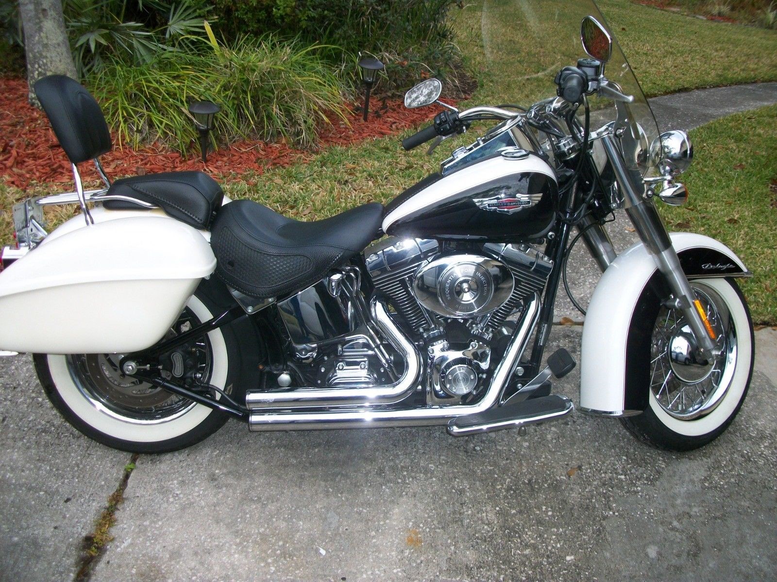 2005 Harley-Davidson® FLSTN/I Softail® Deluxe for Sale in Longwood, FL ...