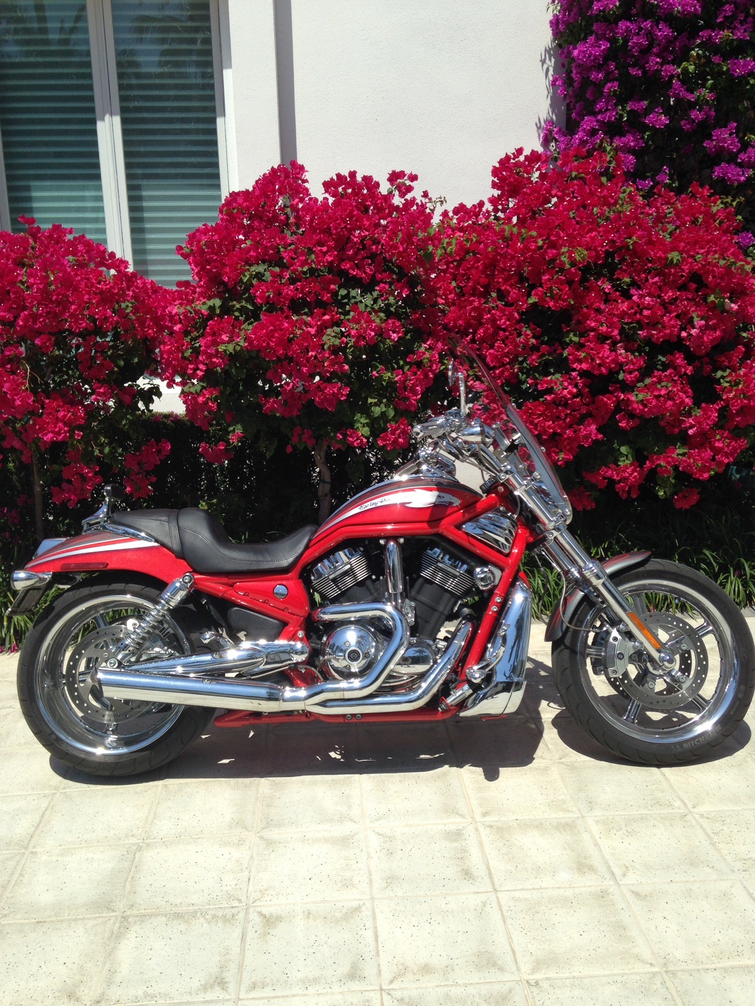 2006 Harley-Davidson® VRSCSE2 Screamin' Eagle® V-Rod® for Sale in Lake ...