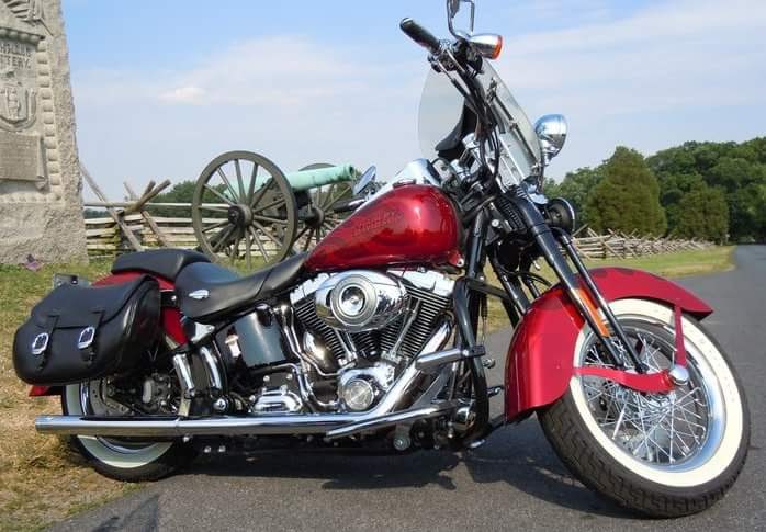 2007 Harley-Davidson® FLSTSC Softail® Springer® Classic for Sale in St ...