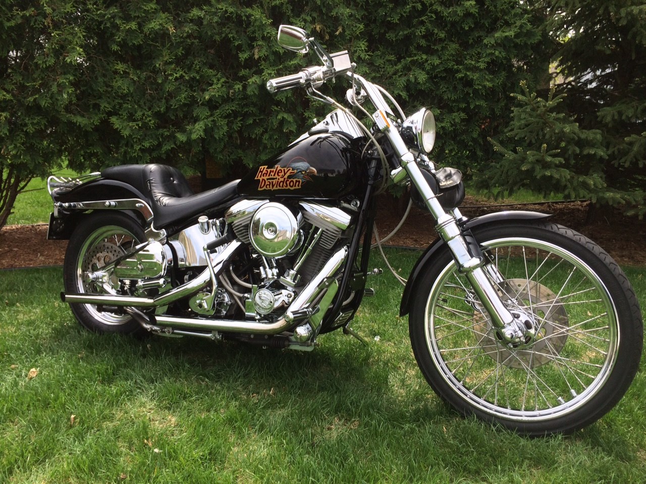 1984 Harley-Davidson® FXST Softail® for Sale in De Pere, WI (Item 832929)