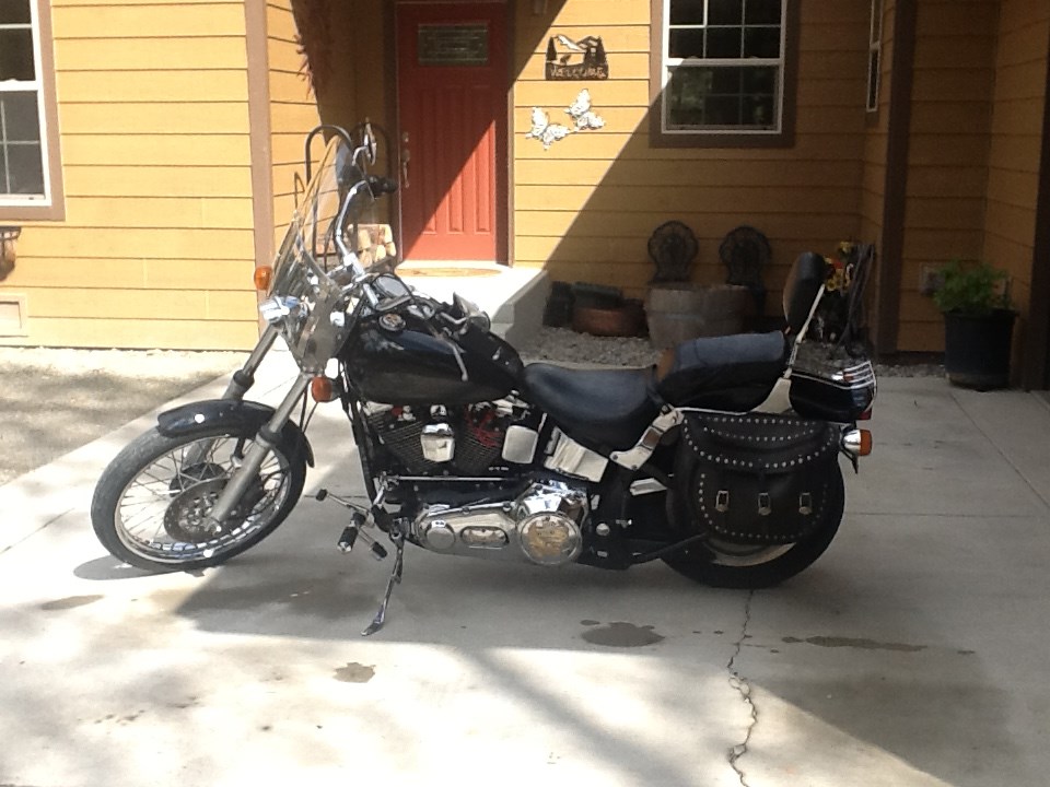 1991 Harley-Davidson® FXSTC Softail® Custom for Sale in Eureka, MT ...
