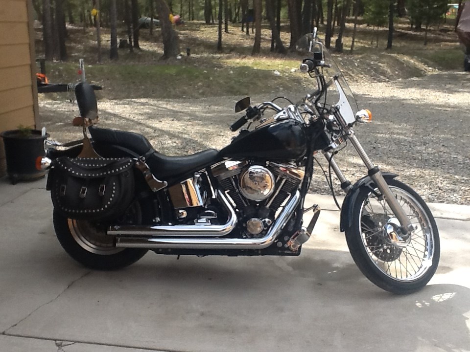 1991 Harley-Davidson® FXSTC Softail® Custom for Sale in Eureka, MT ...