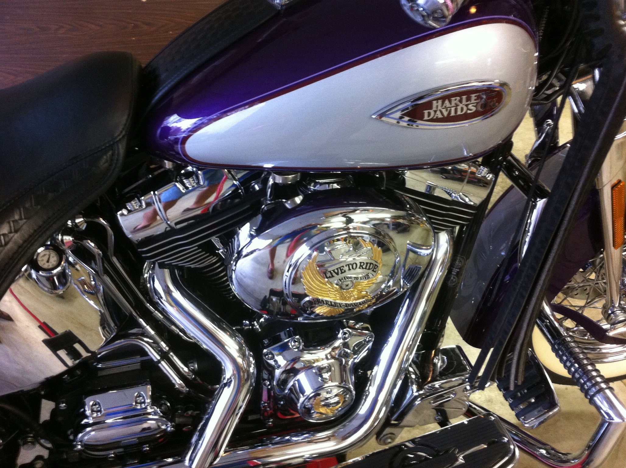 2001 Harley-Davidson® FLSTS/I Heritage Springer® for Sale in ...