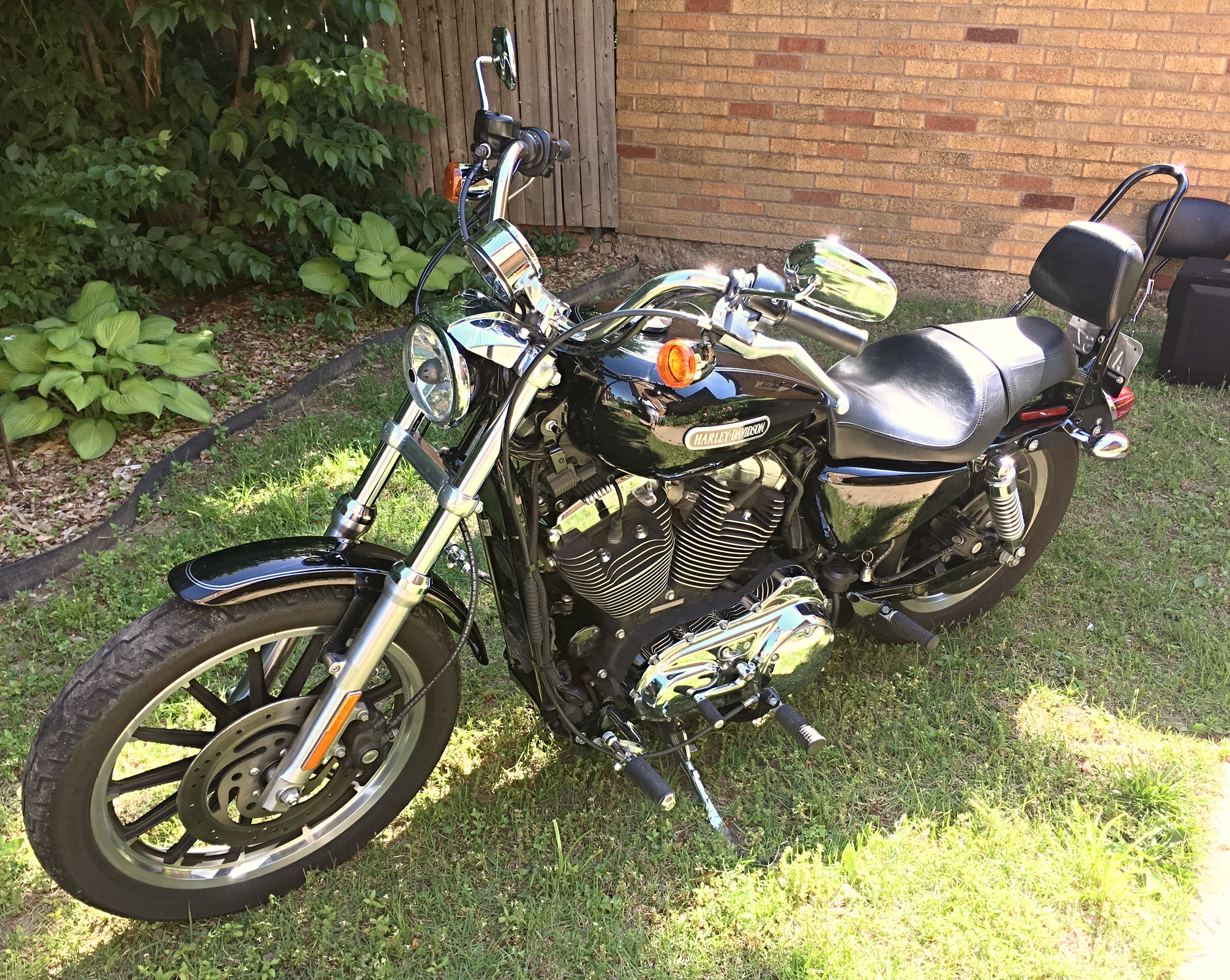 2008 Harley-Davidson® XL1200L Sportster® 1200 Low for Sale in St Louis ...
