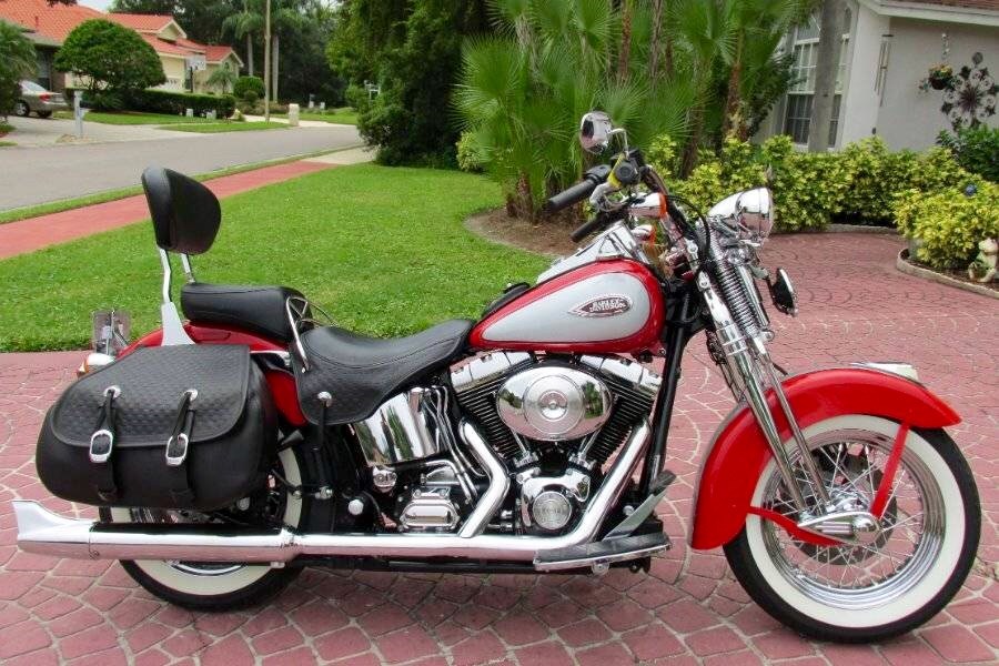 2002 Harley-Davidson® FLSTS/I Heritage Springer® for Sale in ...