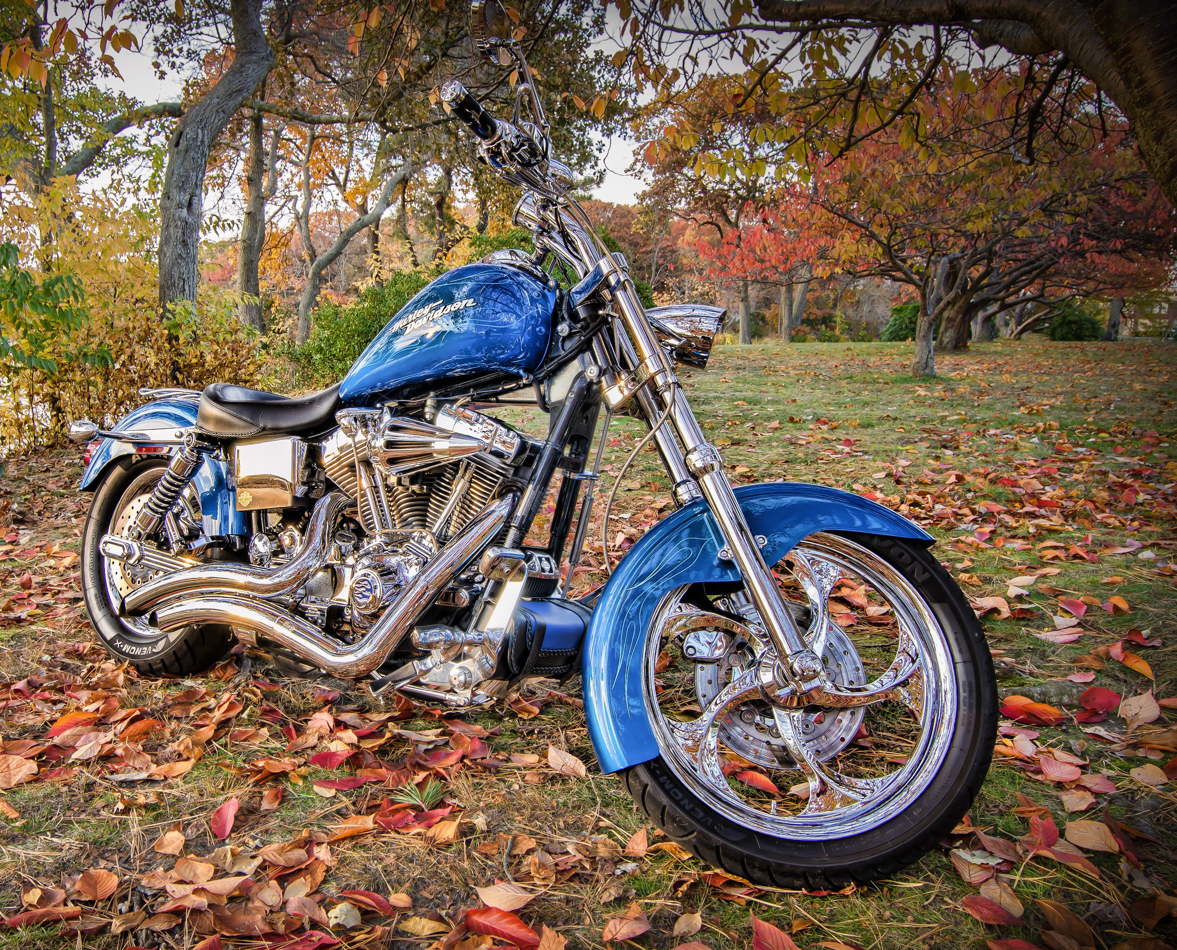 2004 Harley-Davidson® FXD/I Dyna Super Glide® for Sale in Toms River ...