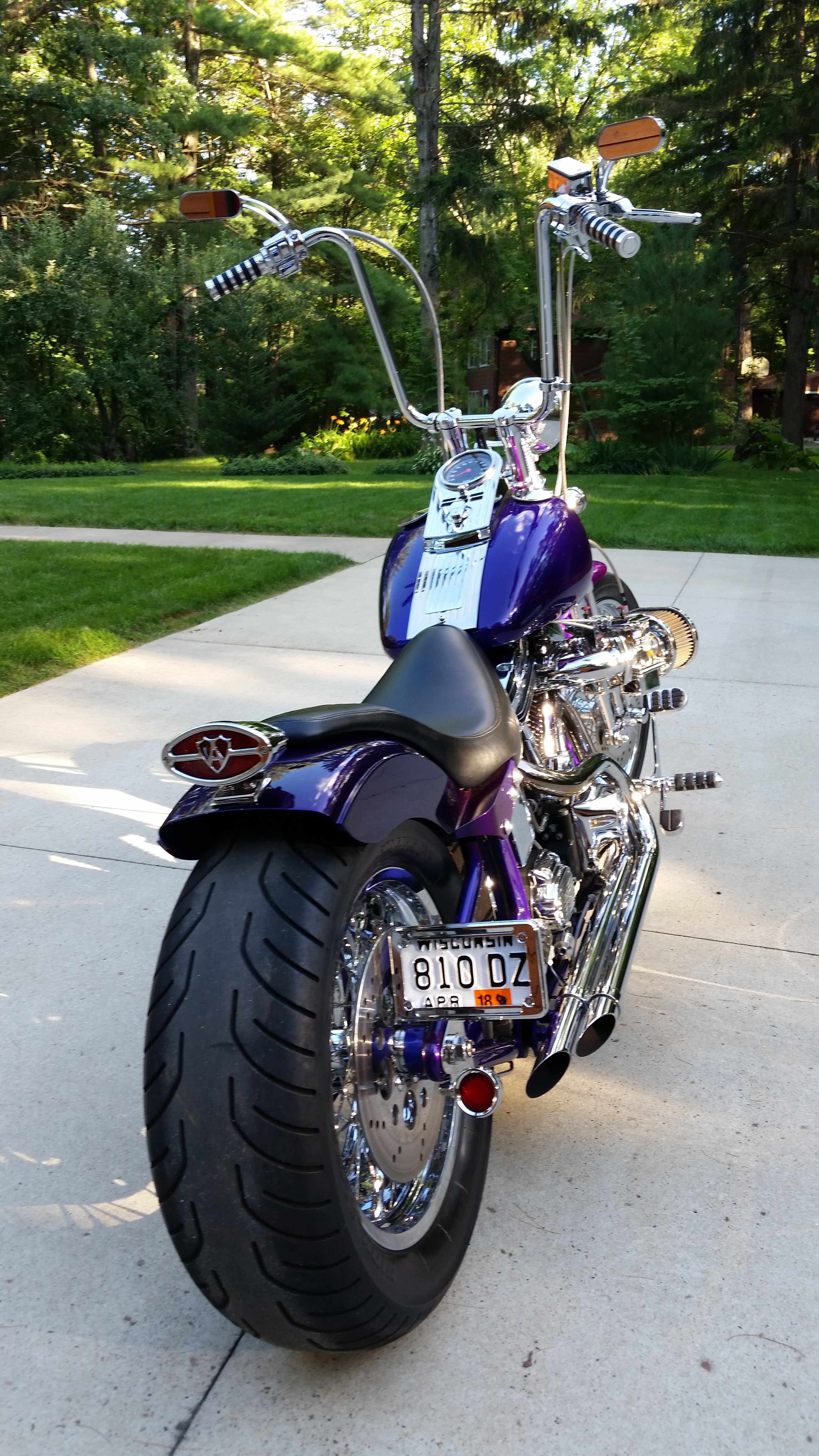 1992 Harley-Davidson® FXSTS Softail® Springer® for Sale in Black River ...