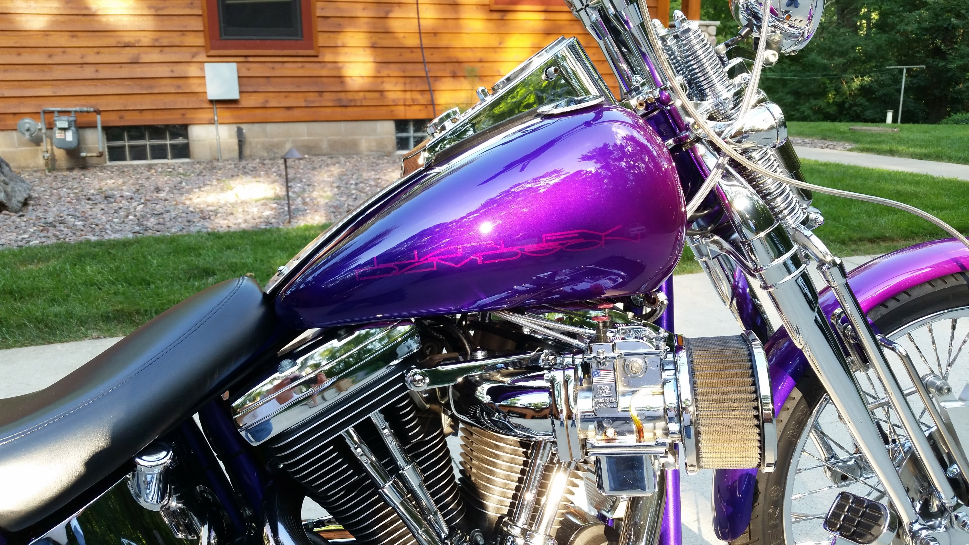 1992 Harley-Davidson® FXSTS Softail® Springer® for Sale in Black River ...