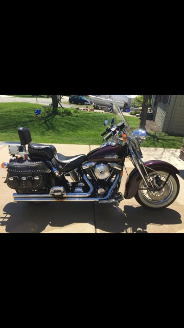 1993 Harley-Davidson® FXSTS Springer® Softail® for Sale in Harrison Twp ...