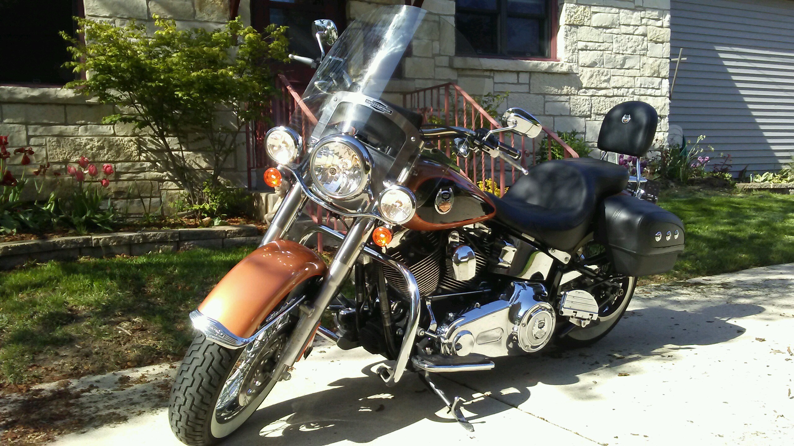 2008 Harley-Davidson® FLSTN-ANV Softail® Deluxe Anniversary for Sale in ...