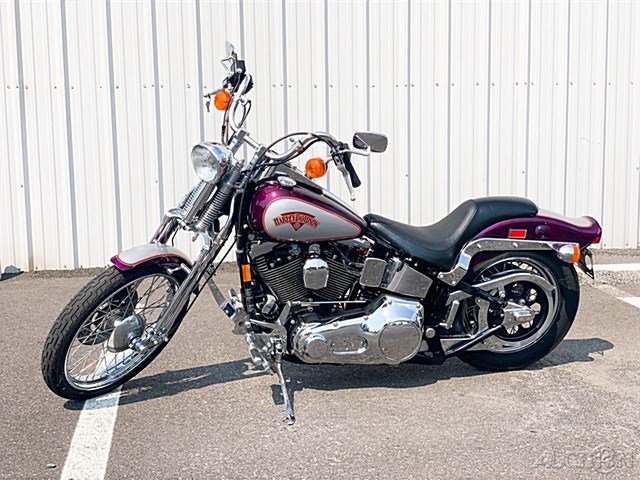 1994 Harley-Davidson® FXSTS Springer® Softail® for Sale in Zieglerville ...