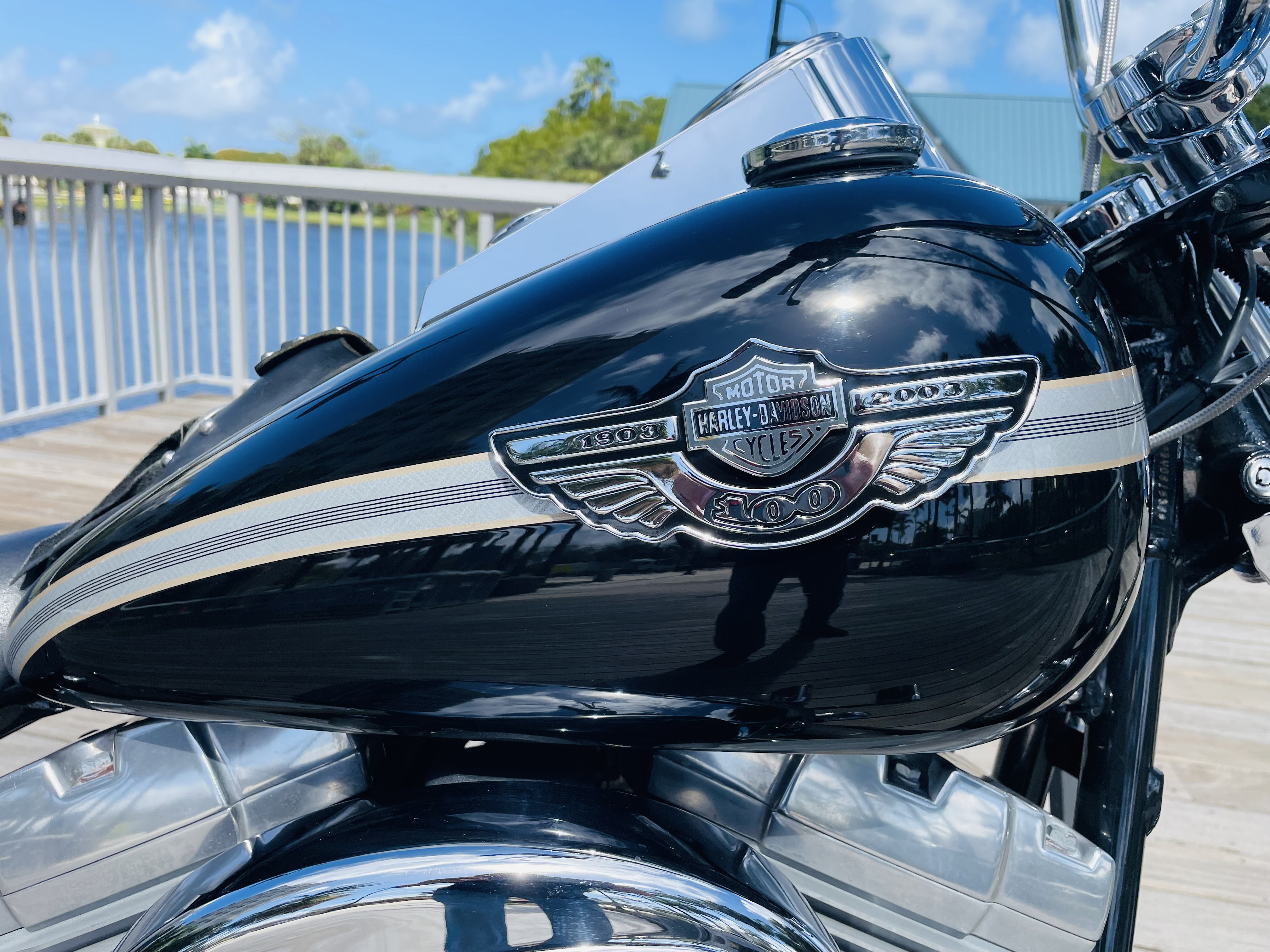 2003 Harley-Davidson® FXST/I-ANV Softail® Standard Anniversary for Sale ...
