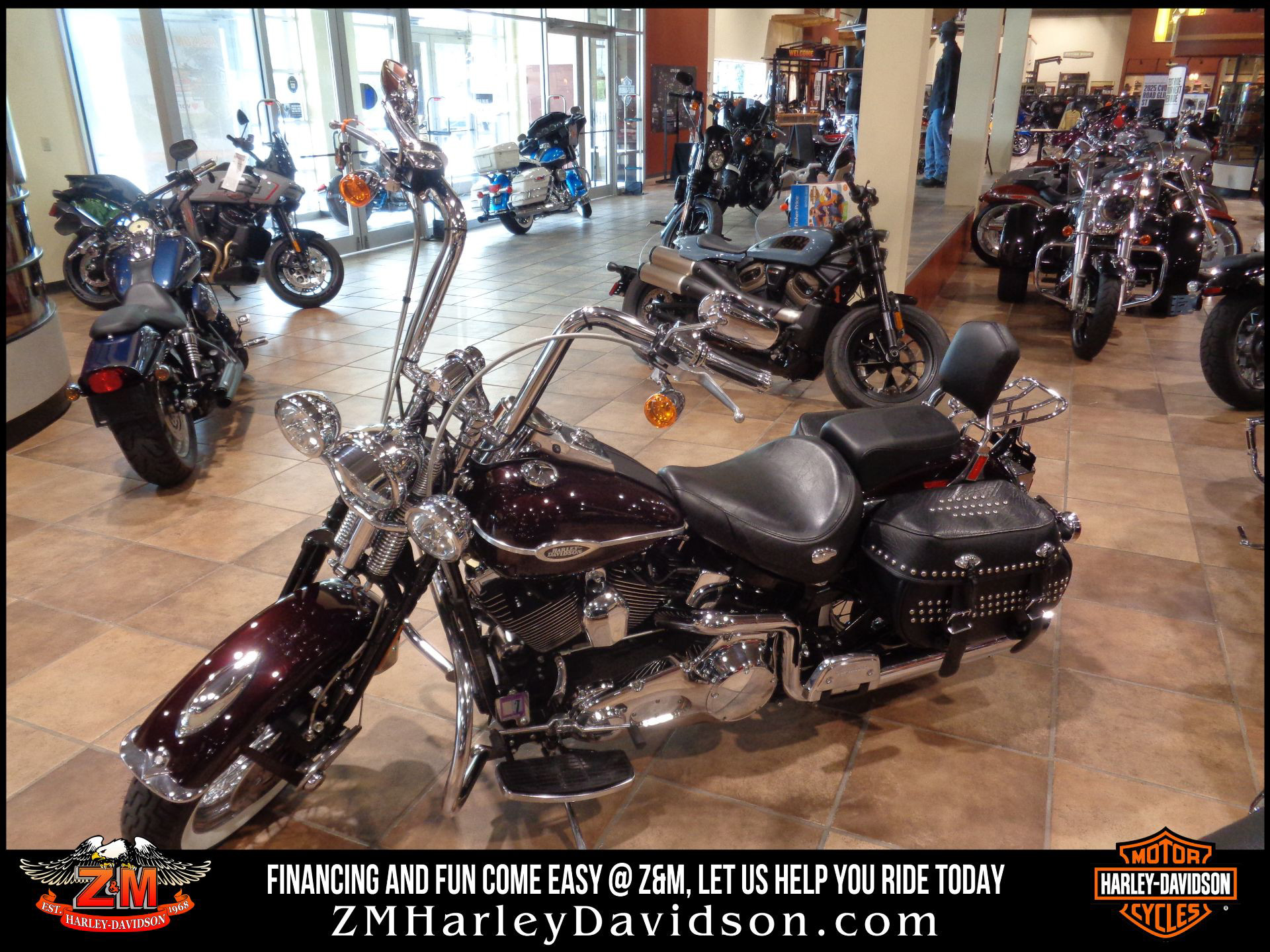 2005 Harley-Davidson® FLSTSC/I Softail® Springer® Classic for Sale in ...