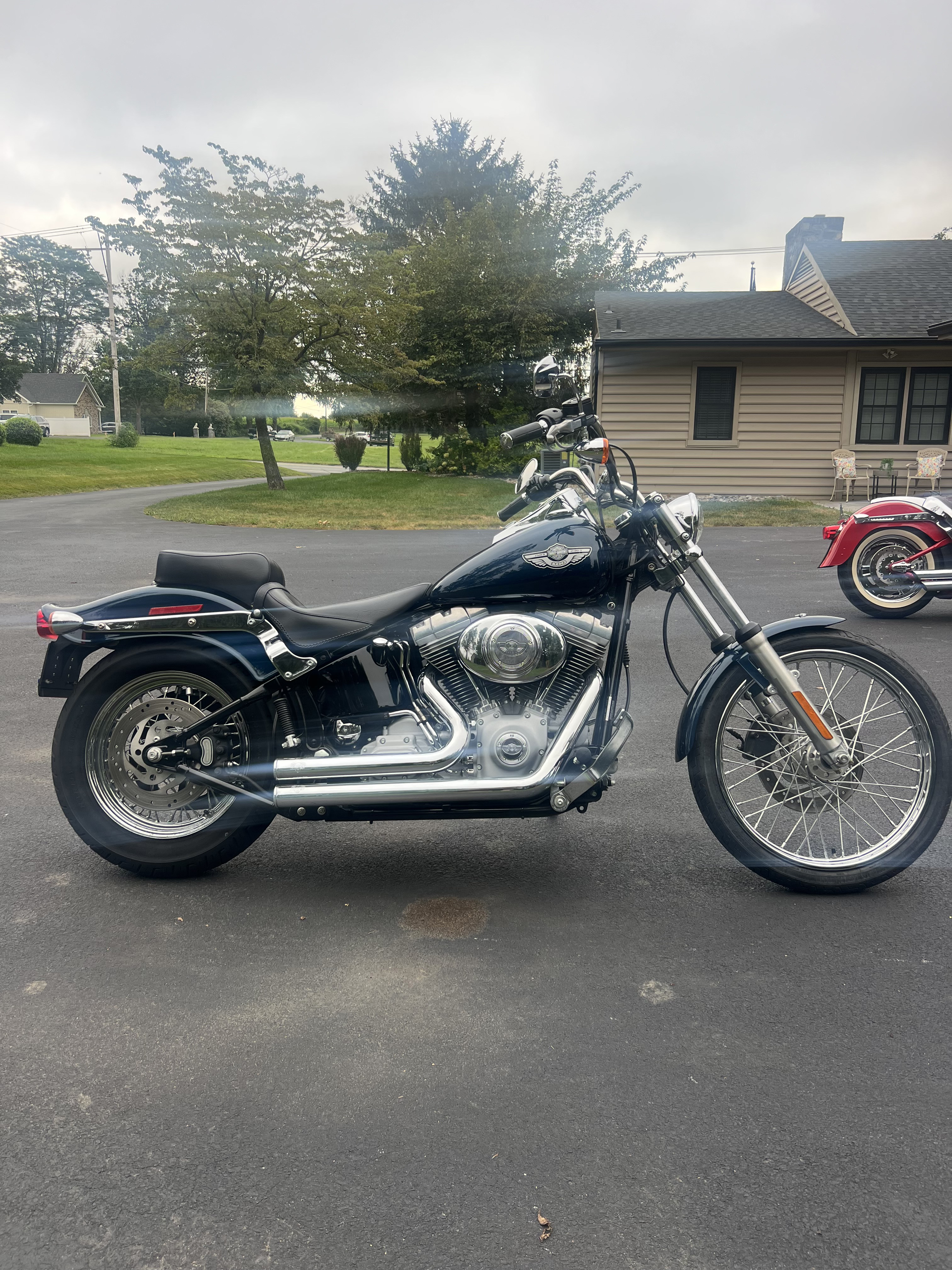 2003 Harley-Davidson® FXST/I-ANV Softail® Standard Anniversary for Sale ...