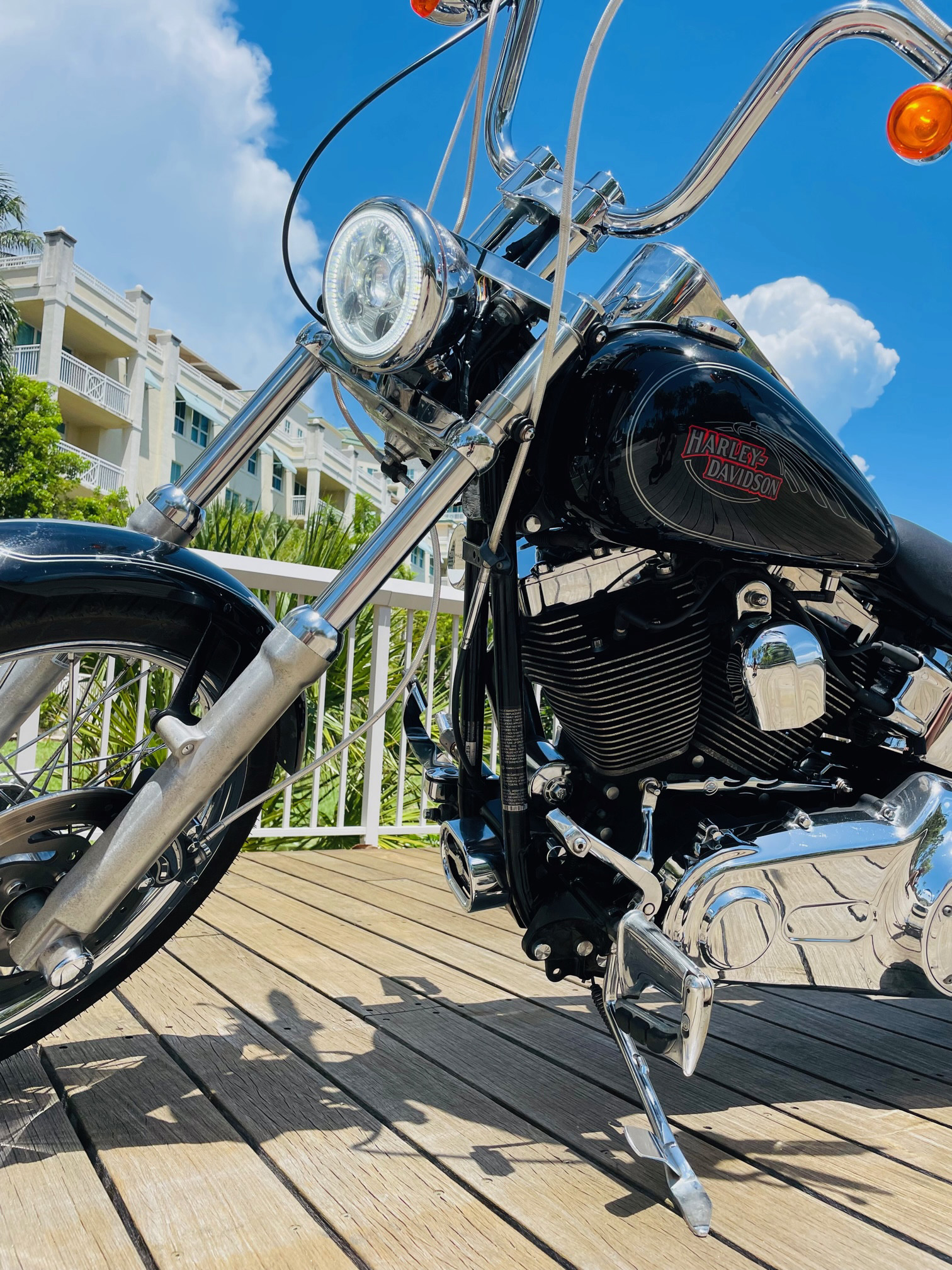 2008 Harley-Davidson® FXSTC Softail® Custom for Sale in Boynton Beach ...