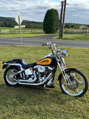 2000 Harley-Davidson® FXSTS Softail® Springer® for Sale in Zieglerville ...