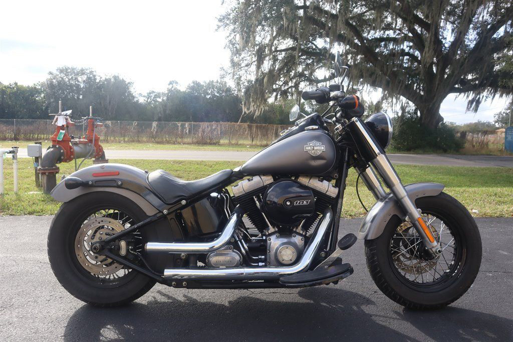 2017 Harley-Davidson® FLS Softail® Slim® for Sale in Wildwood, FL (Item ...