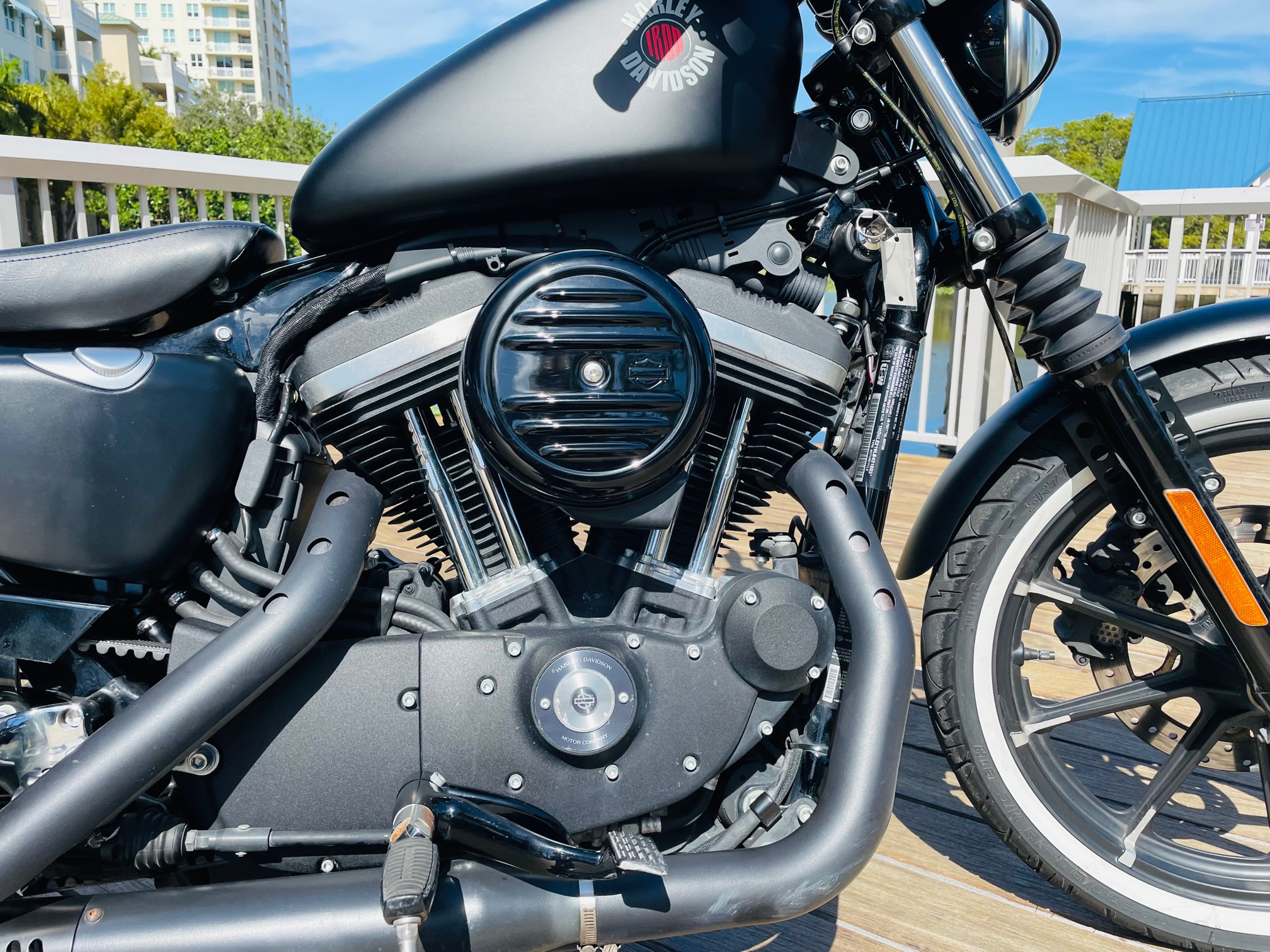 2020 Harley-Davidson® XL883N Iron 883® for Sale in Boynton Beach, FL ...
