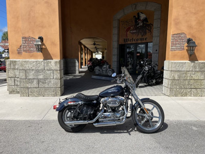 Motorcycles for Sale on ChopperExchange