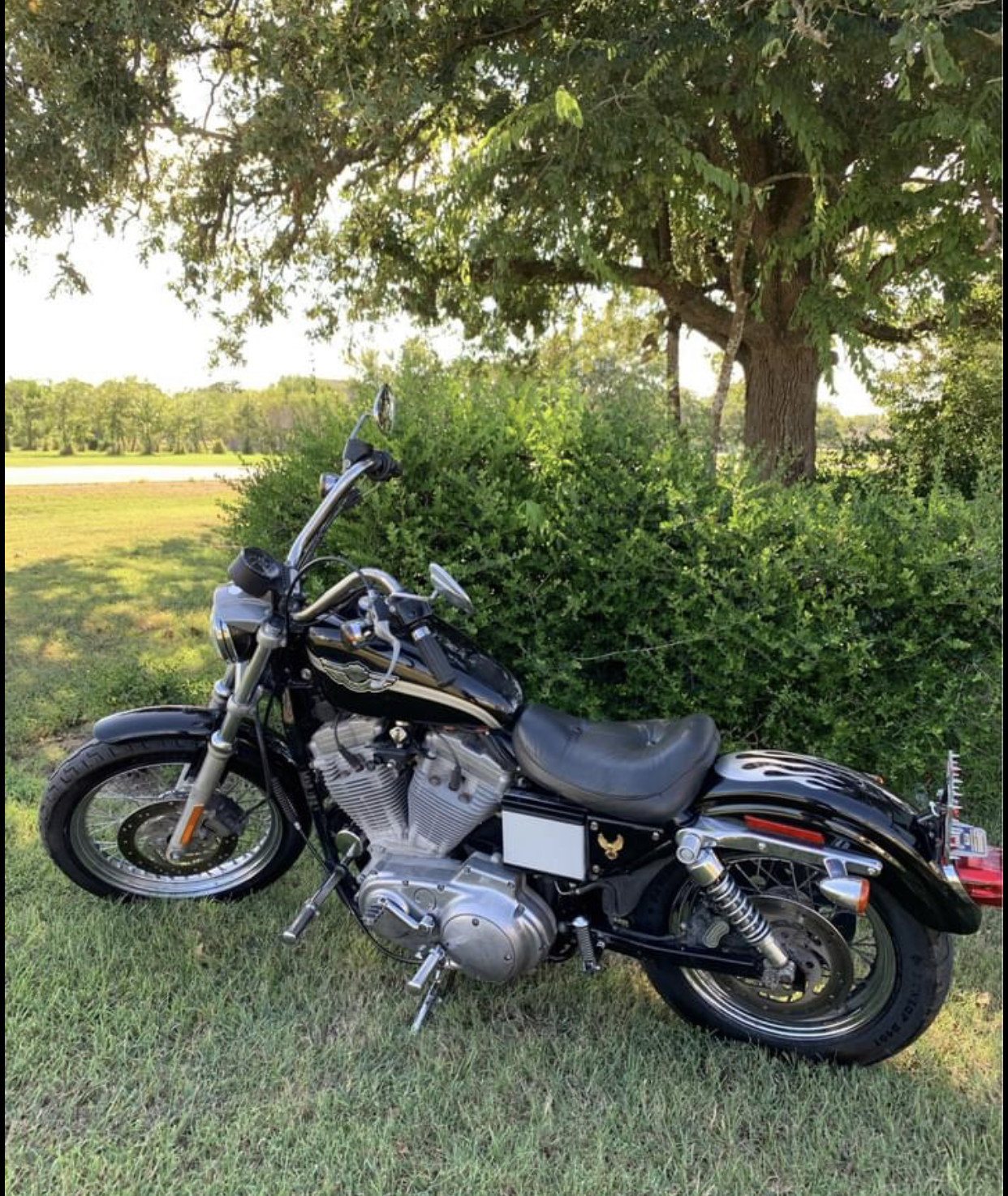 2003 Harley-Davidson® XL883H-ANV Sportster® 883 Hugger® Anniversary for ...