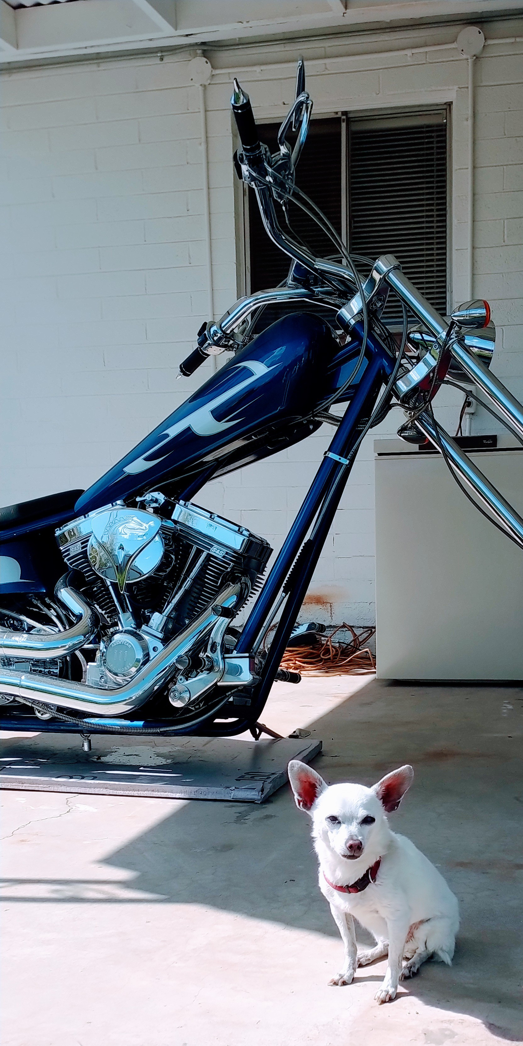 2005 American IronHorse Texas Chopper for Sale in Phoenix , AZ (Item ...