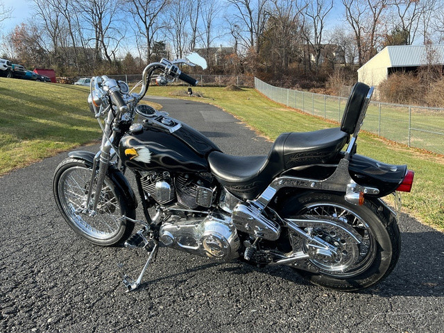 1999 Harley-Davidson® FXSTS Springer® Softail® for Sale in Zieglerville ...